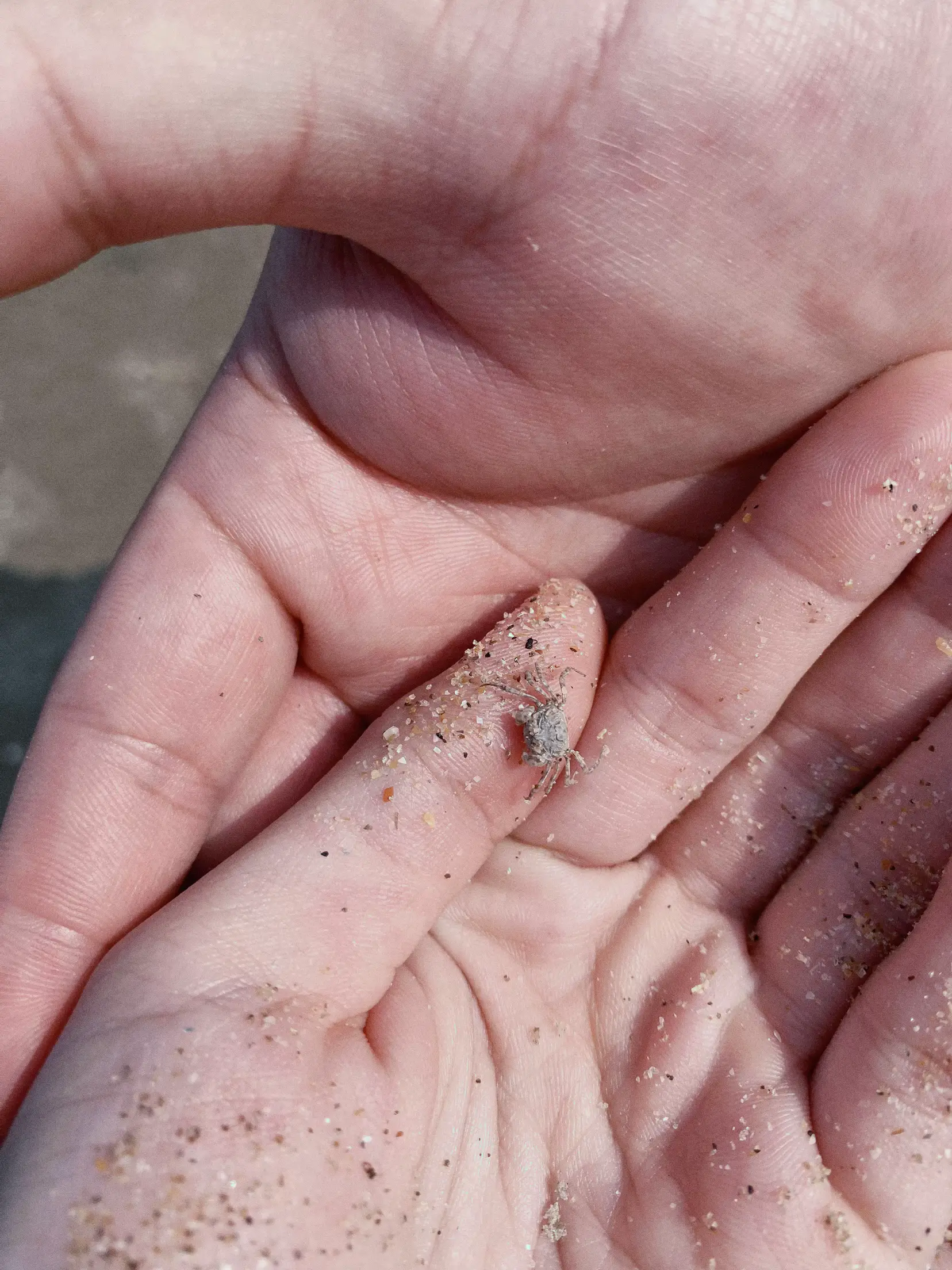 ไอเดียถ่ายรูปกับแฟน ฉบับไม่เห็นหน้า แต่โรแมนติกสุดๆ 🥰😍 | แกลเลอรีที่โพสต์โดย Mint.Charm🪐 | Lemon8