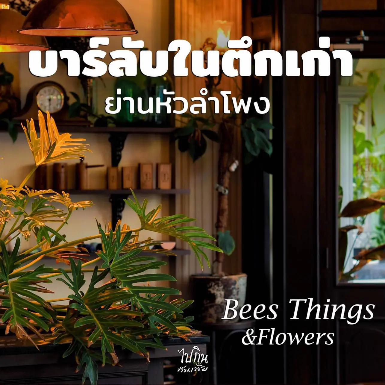 📌ร้าน Bees Things & Flowers | แกลเลอรีที่โพสต์โดย Paikinkanloei | Lemon8