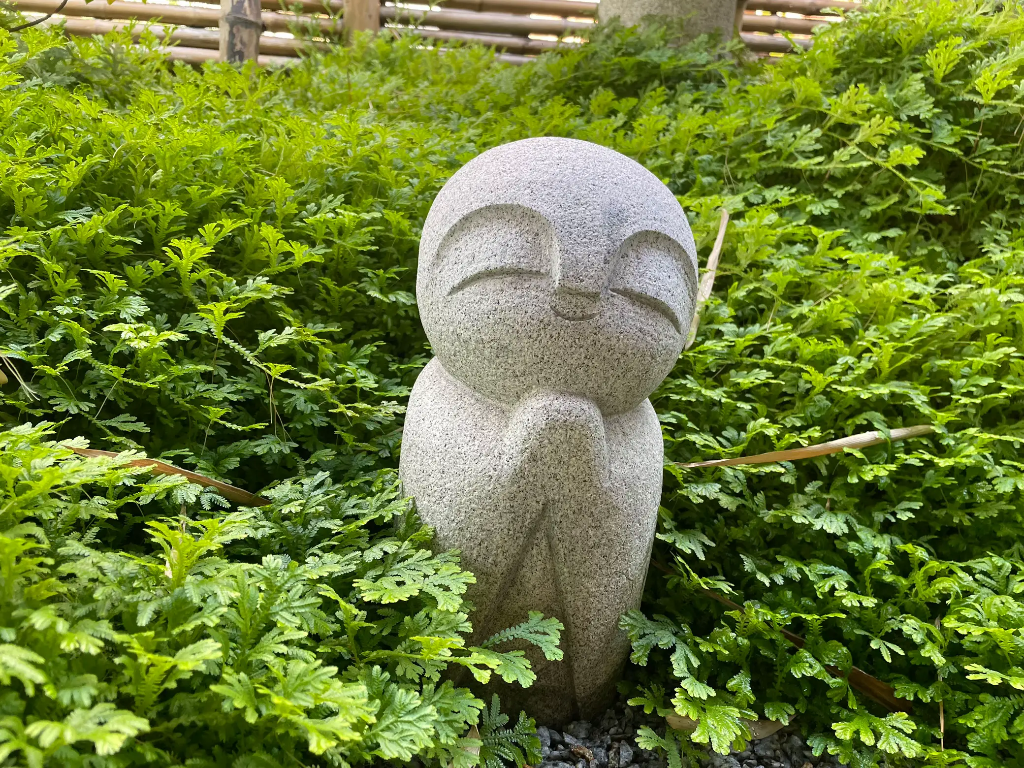 #ฤดูหนาว#ต้นไม้ #ติดเทรนด์ #จัดสวนข้างบ้าน | แกลเลอรีที่โพสต์โดย Su ...