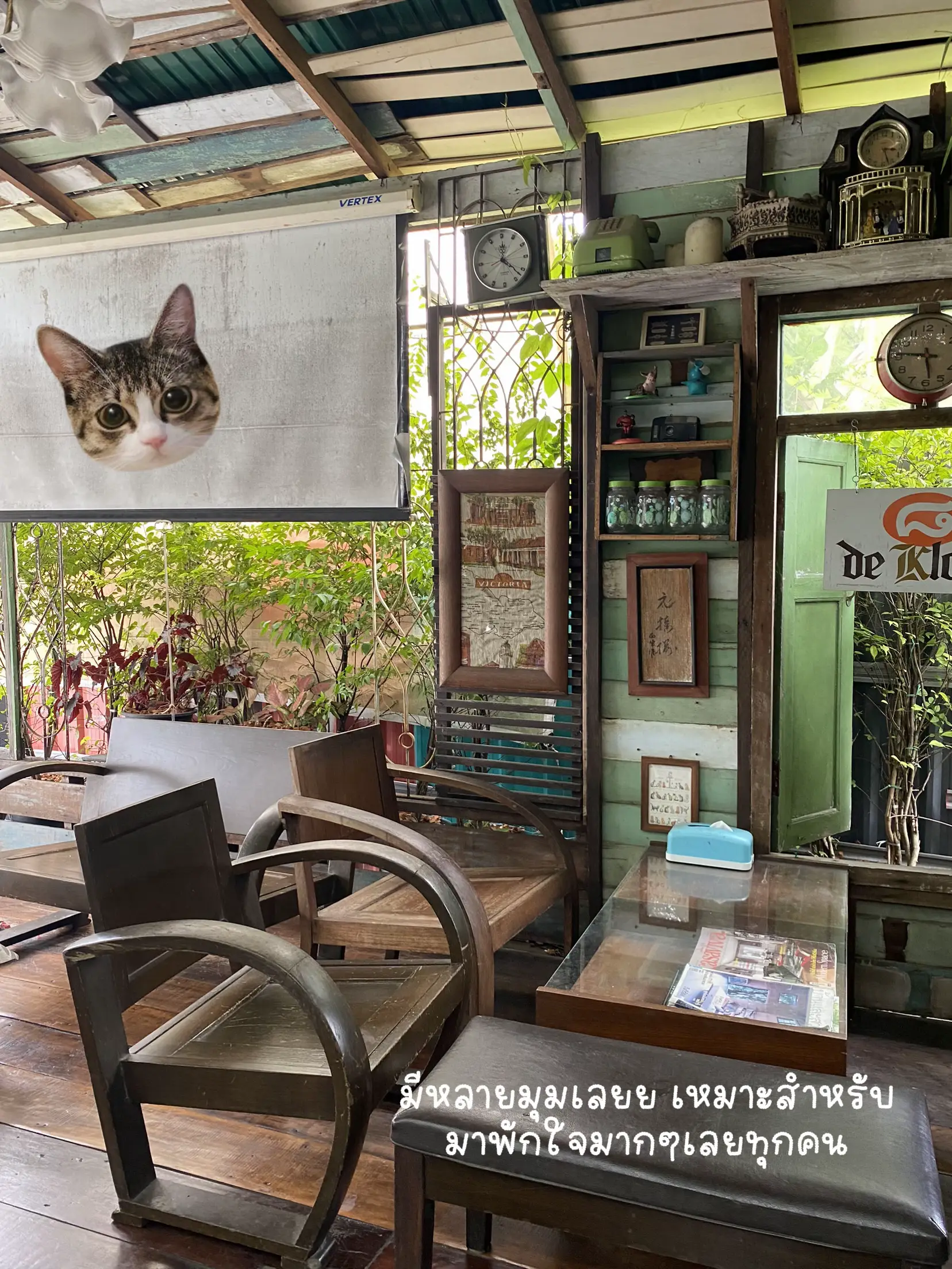 eight de klong | คาเฟ่ลับย่านตลิ่งชัน 💐🌟 | แกลเลอรีที่โพสต์โดย jennïe ♡ | Lemon8