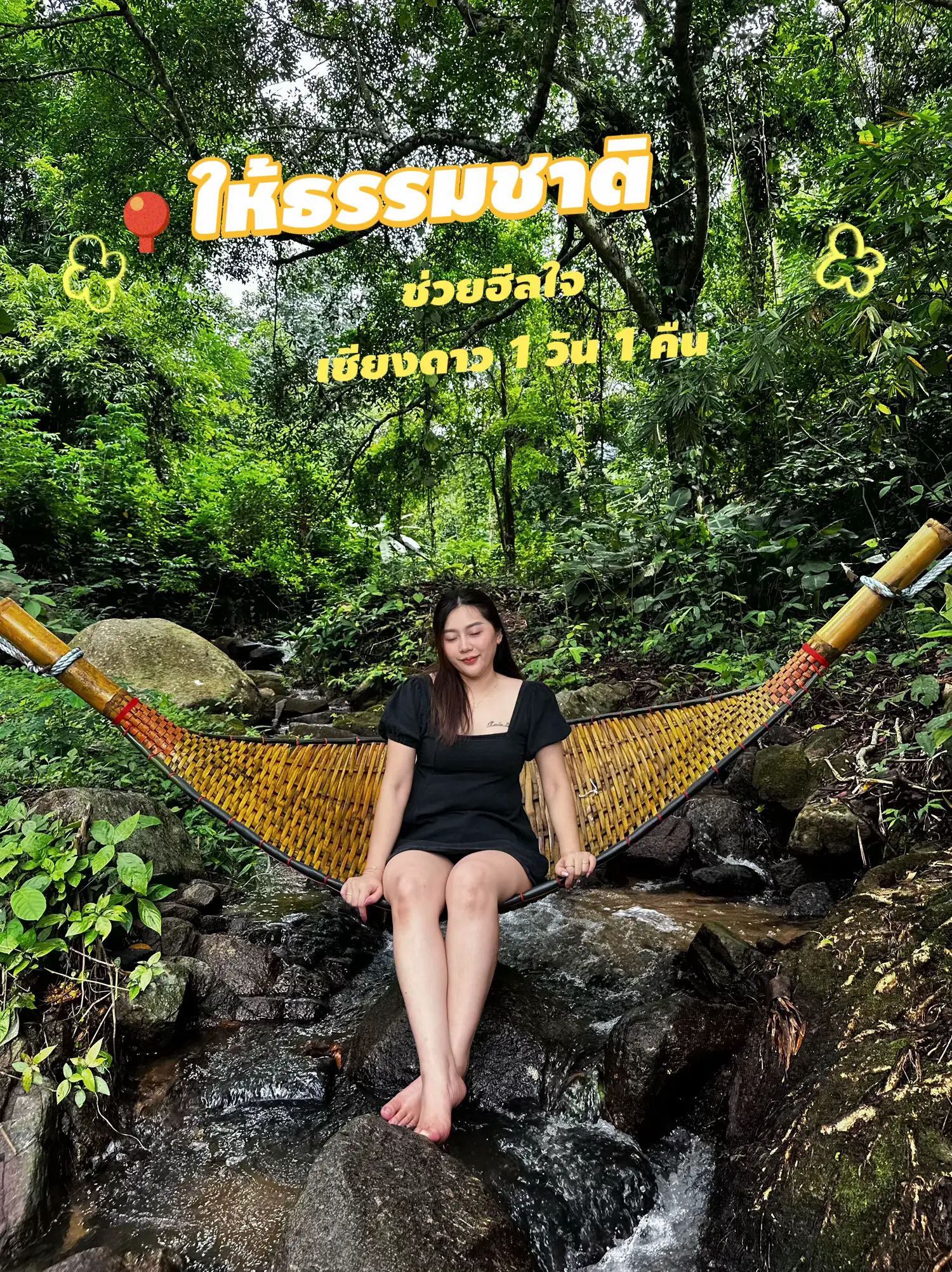 ให้ธรรมชาติช่วยฮีลใจ 🍃 | แกลเลอรีที่โพสต์โดย 🤍𝓘𝓵𝓪𝓭𝓪🤍 | Lemon8