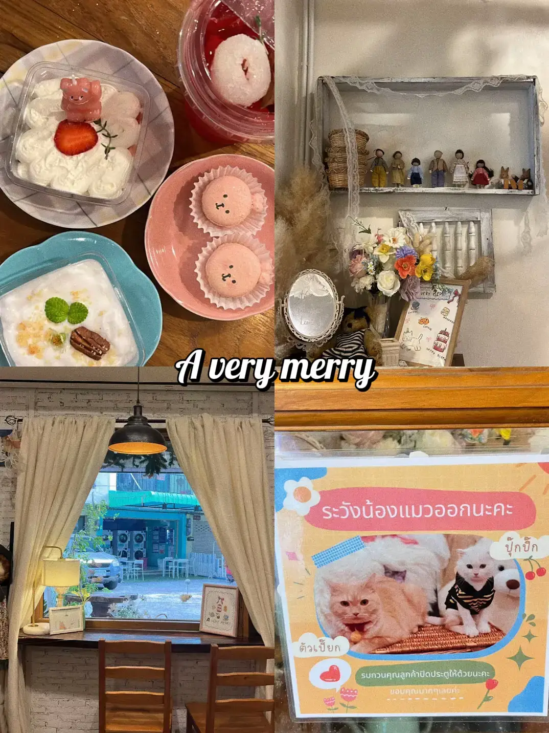 2 ร้านลับบางแสน ราคาเป็นมิตรสุดสุด | แกลเลอรีที่โพสต์โดย Orakarn. | Lemon8