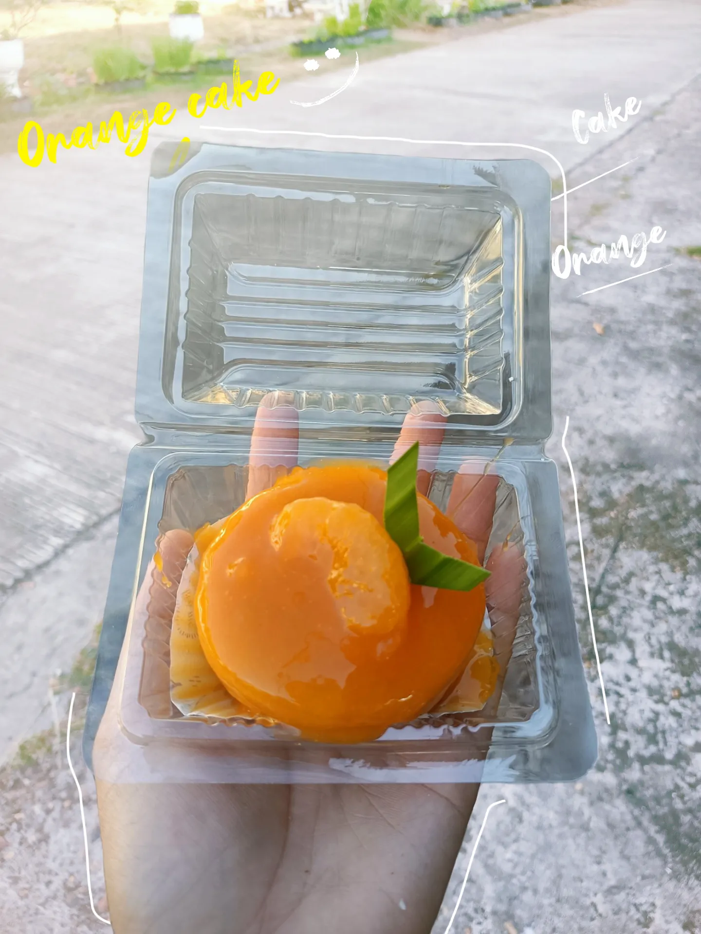 Orange cake | แกลเลอรีที่โพสต์โดย Mint Ny | Lemon8