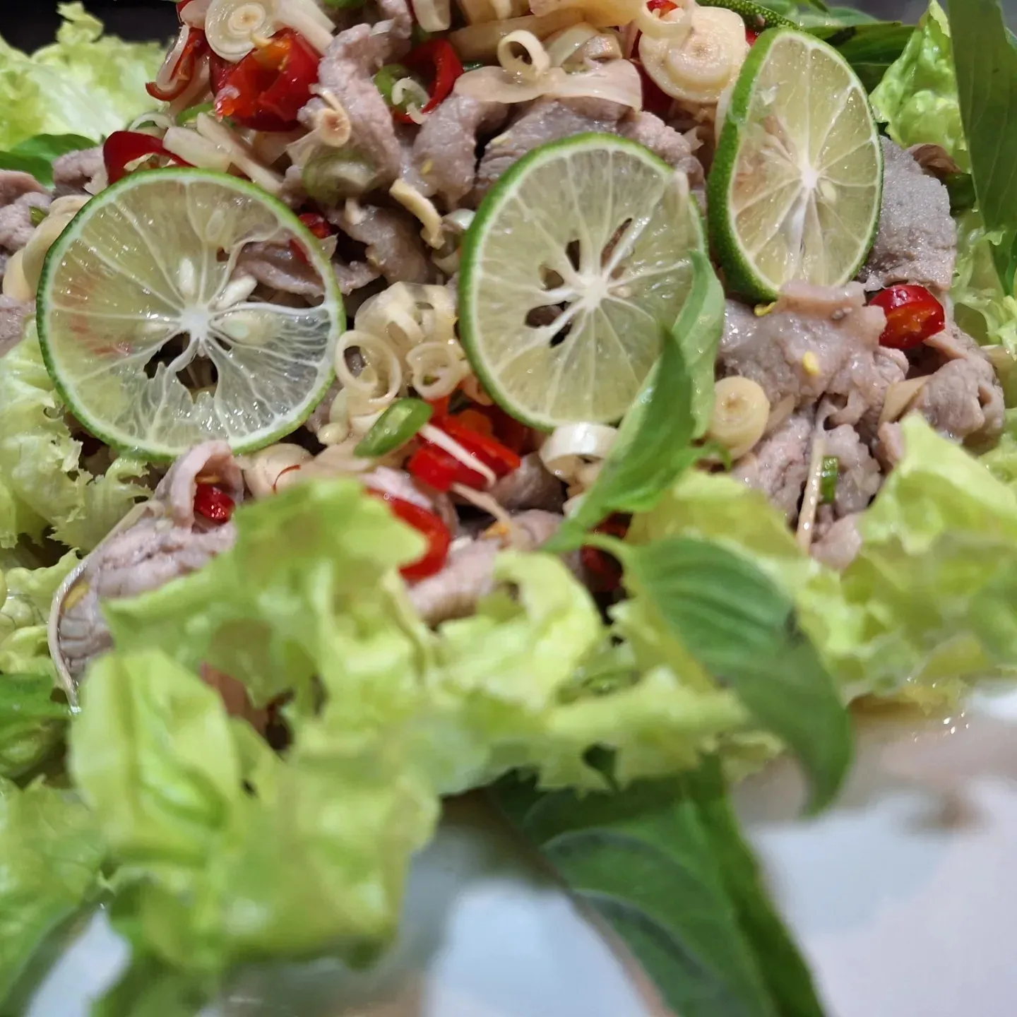 ยำหมูตะไคร์🦋 | แกลเลอรีที่โพสต์โดย Lawan Homnieam | Lemon8