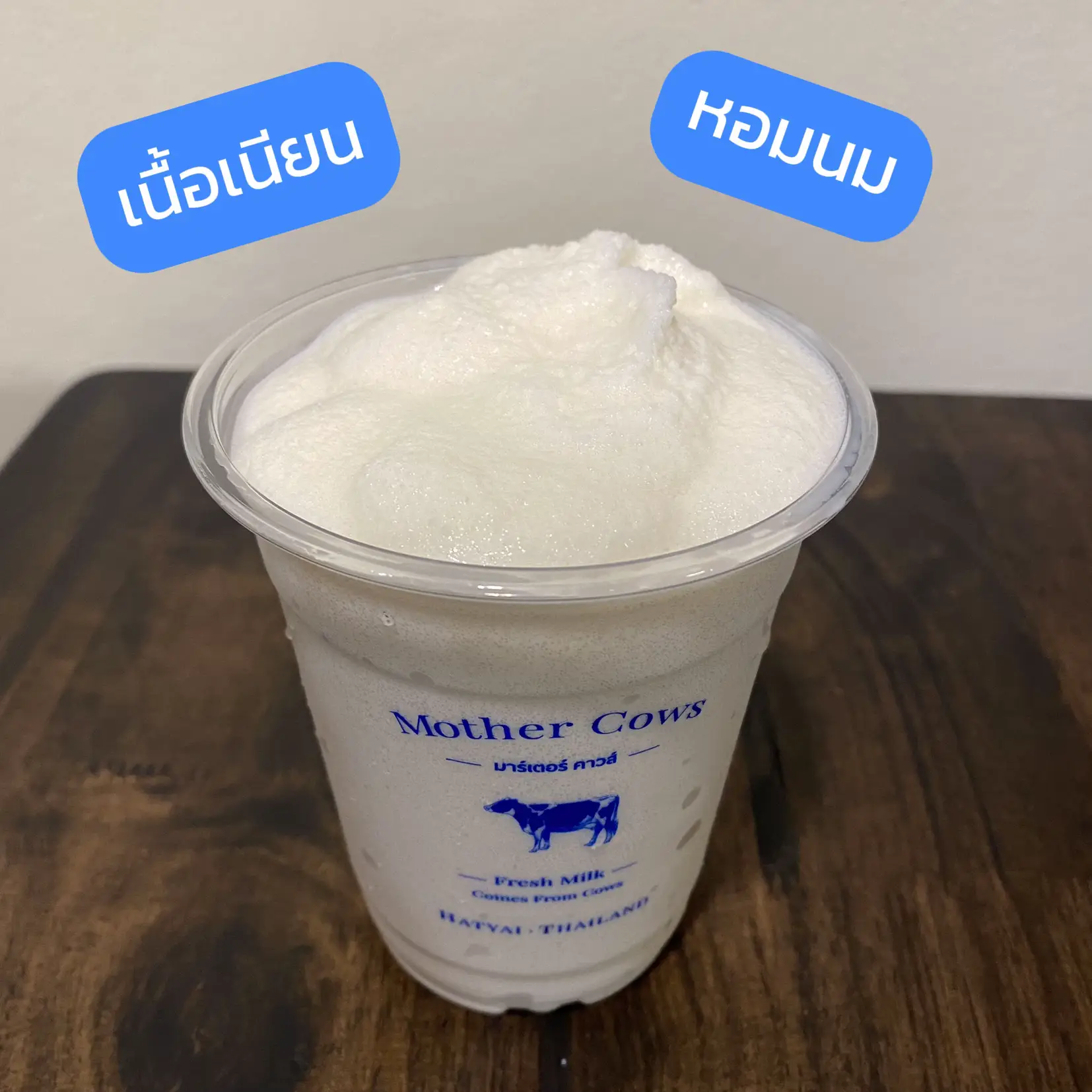 Mother Cows ร้านนมชื่อดังหาดใหญ่ บุกเมืองทองธานีแล้ว!! | แกลเลอรีที่ ...