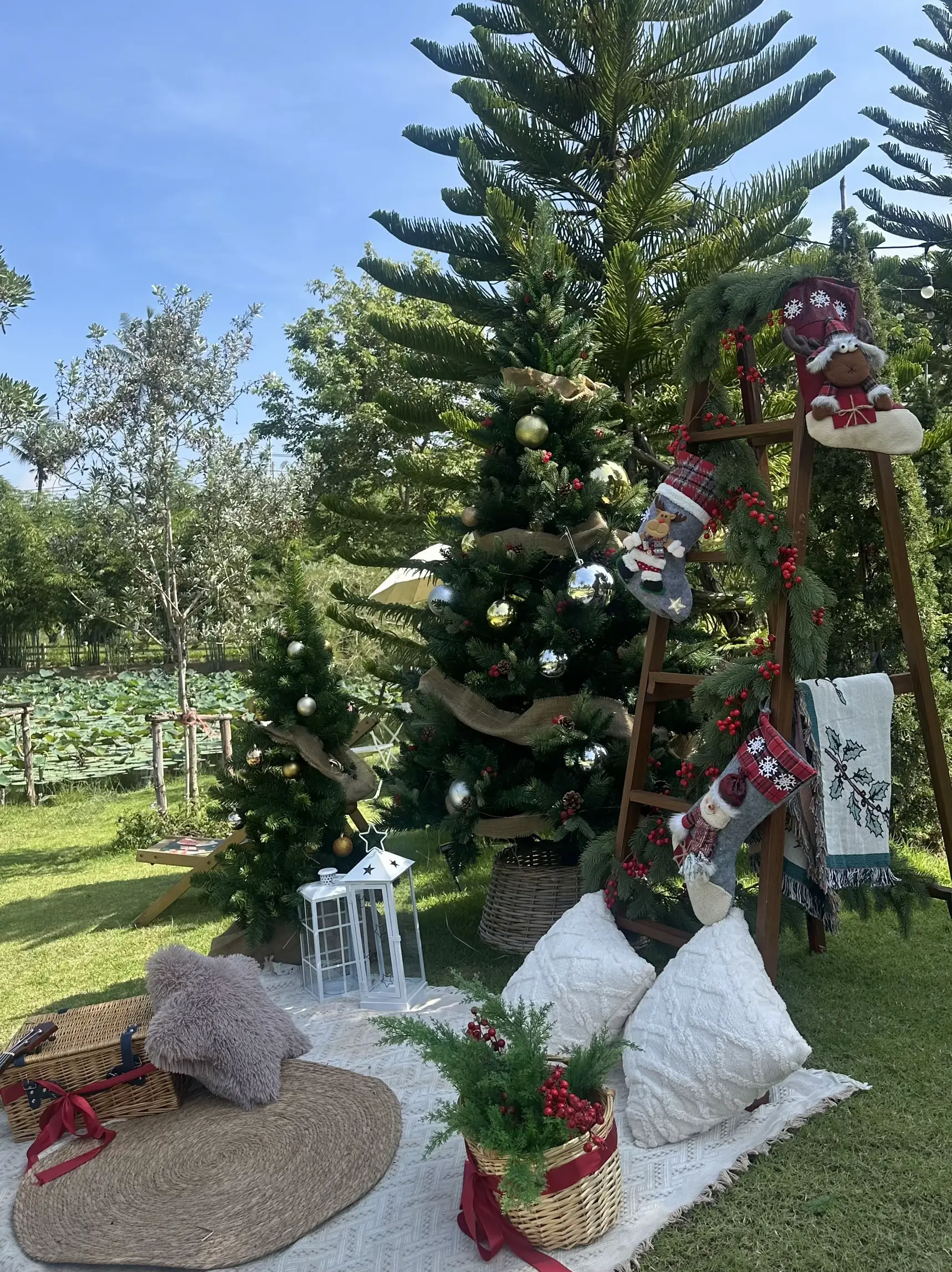 คาเฟ่ตรีม คริสต์มาส แบบคิวท์ๆ 🎅🏻 ️ นครปฐม | แกลเลอรีที่โพสต์โดย Jubby ...