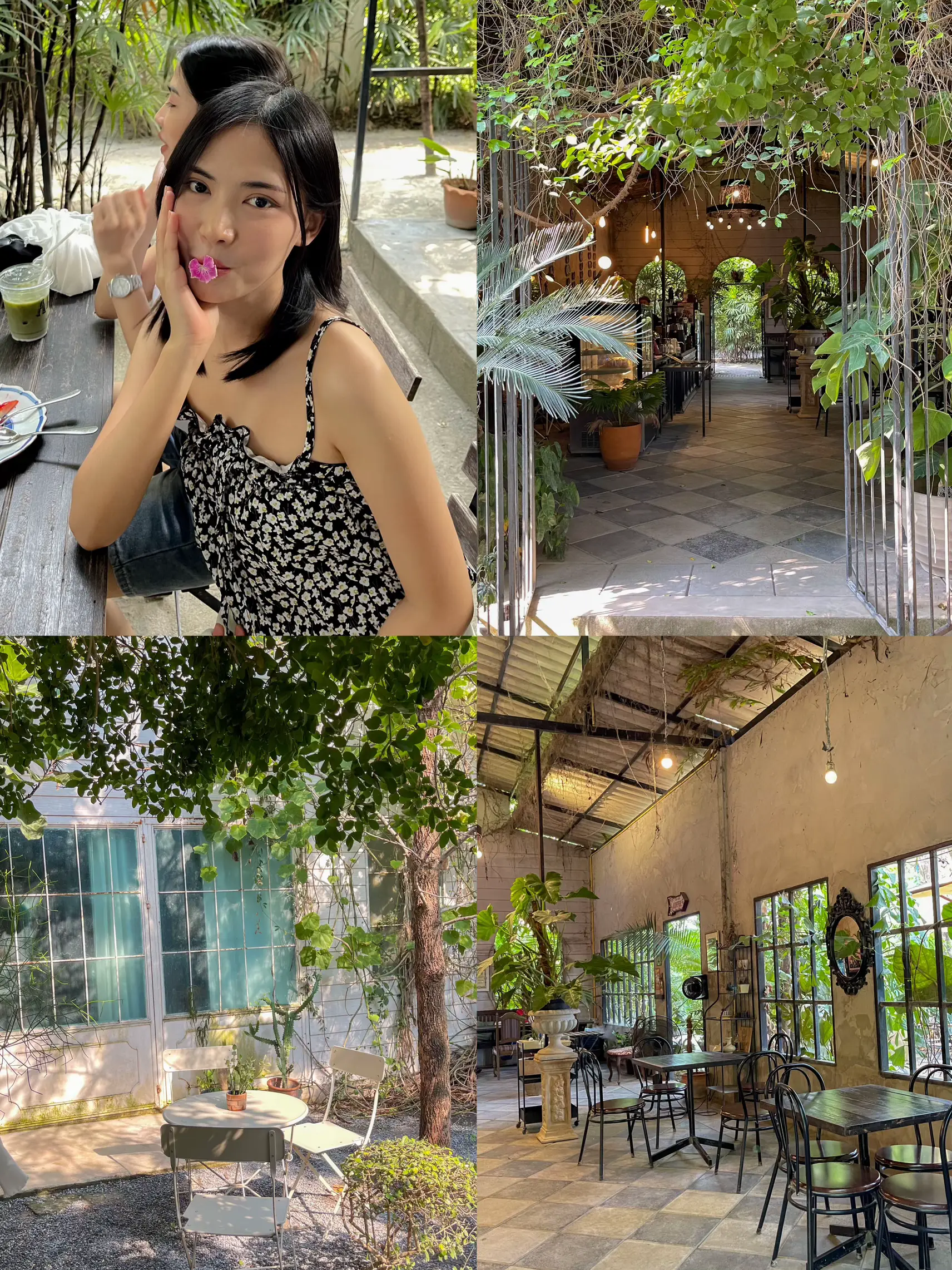 Vera Cafe and Gallery - การค้นหาใน Lemon8