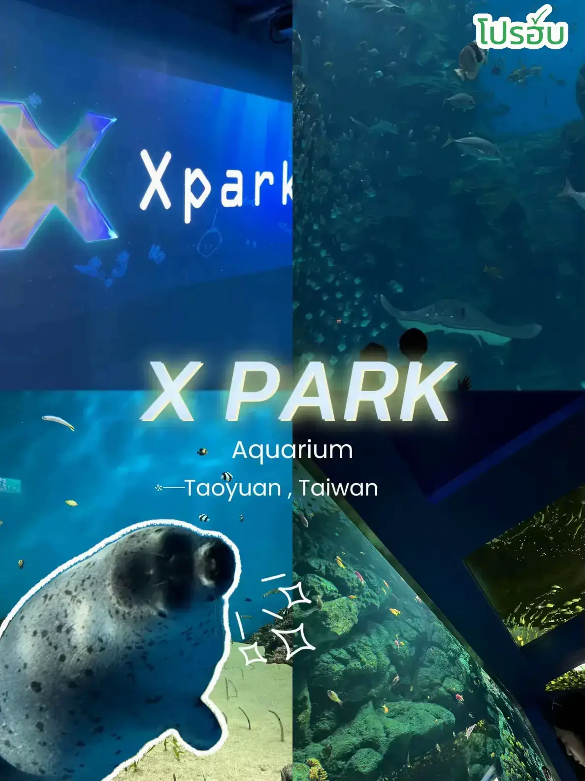 X Park Aquarium🐡📍Taiwan | แกลเลอรีที่โพสต์โดย prohubpromotion | Lemon8