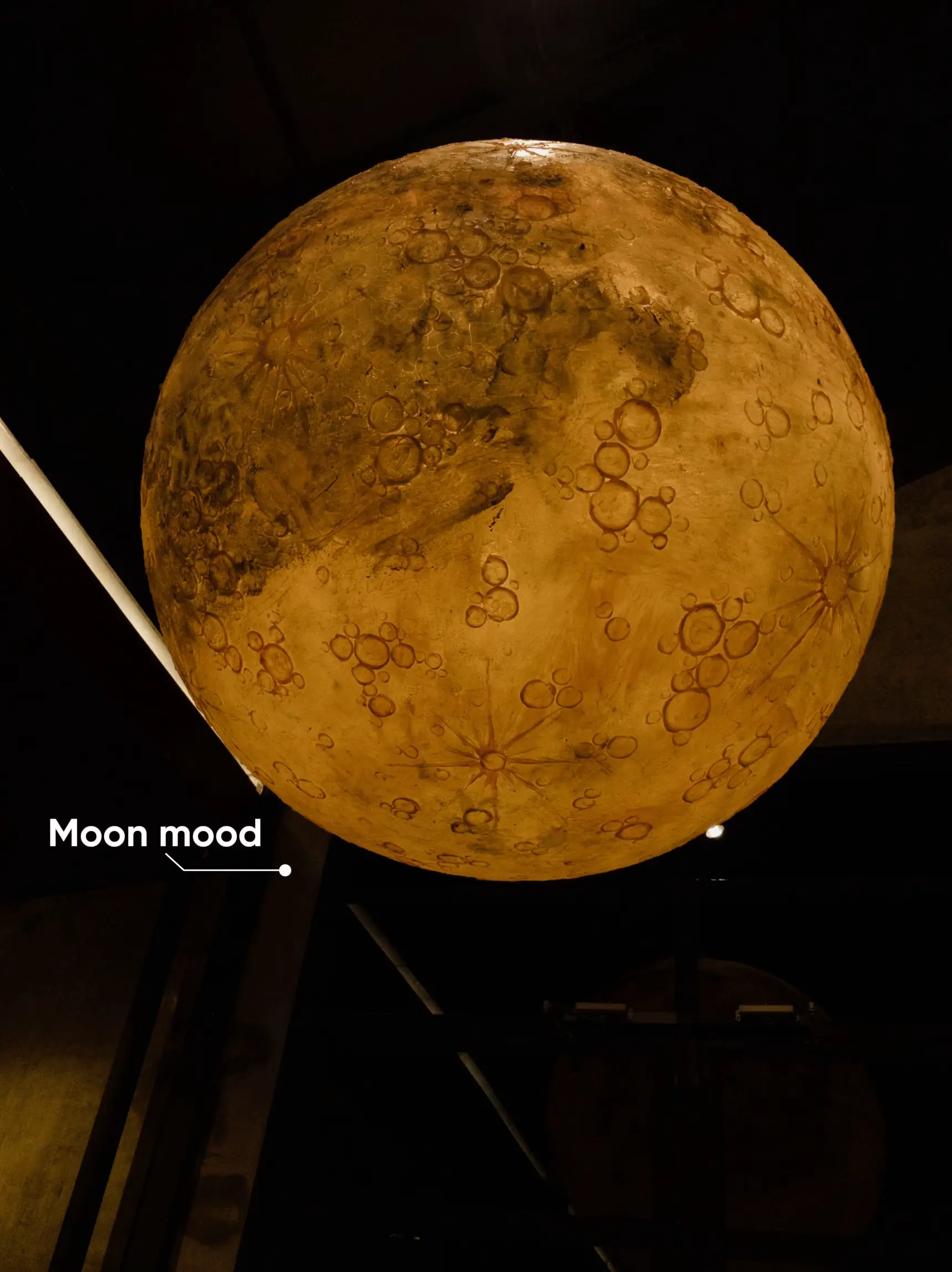 Calling craft & common🎶🍻 | แกลเลอรีที่โพสต์โดย หลงรักเชอรี่🍒🌳 | Lemon8