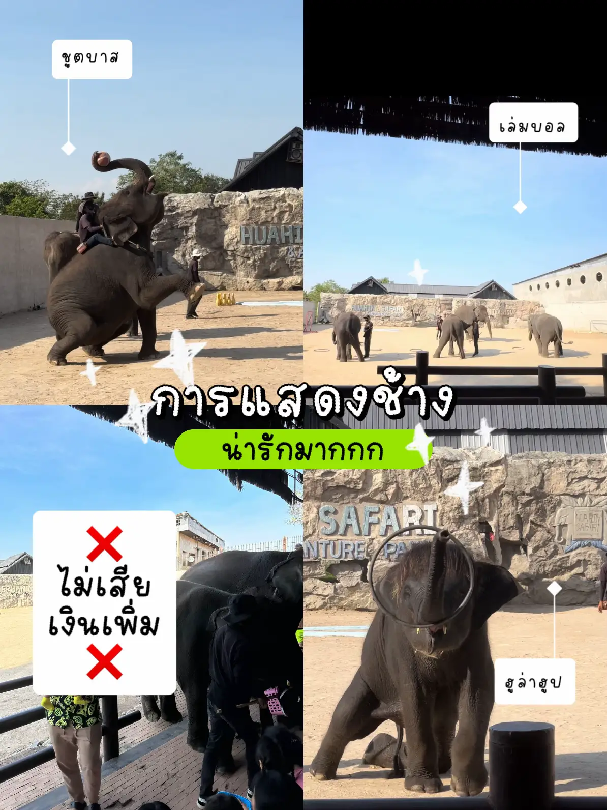 Hua Hin Safari & Adventure Park | แกลเลอรีที่โพสต์โดย Wirakornny | Lemon8