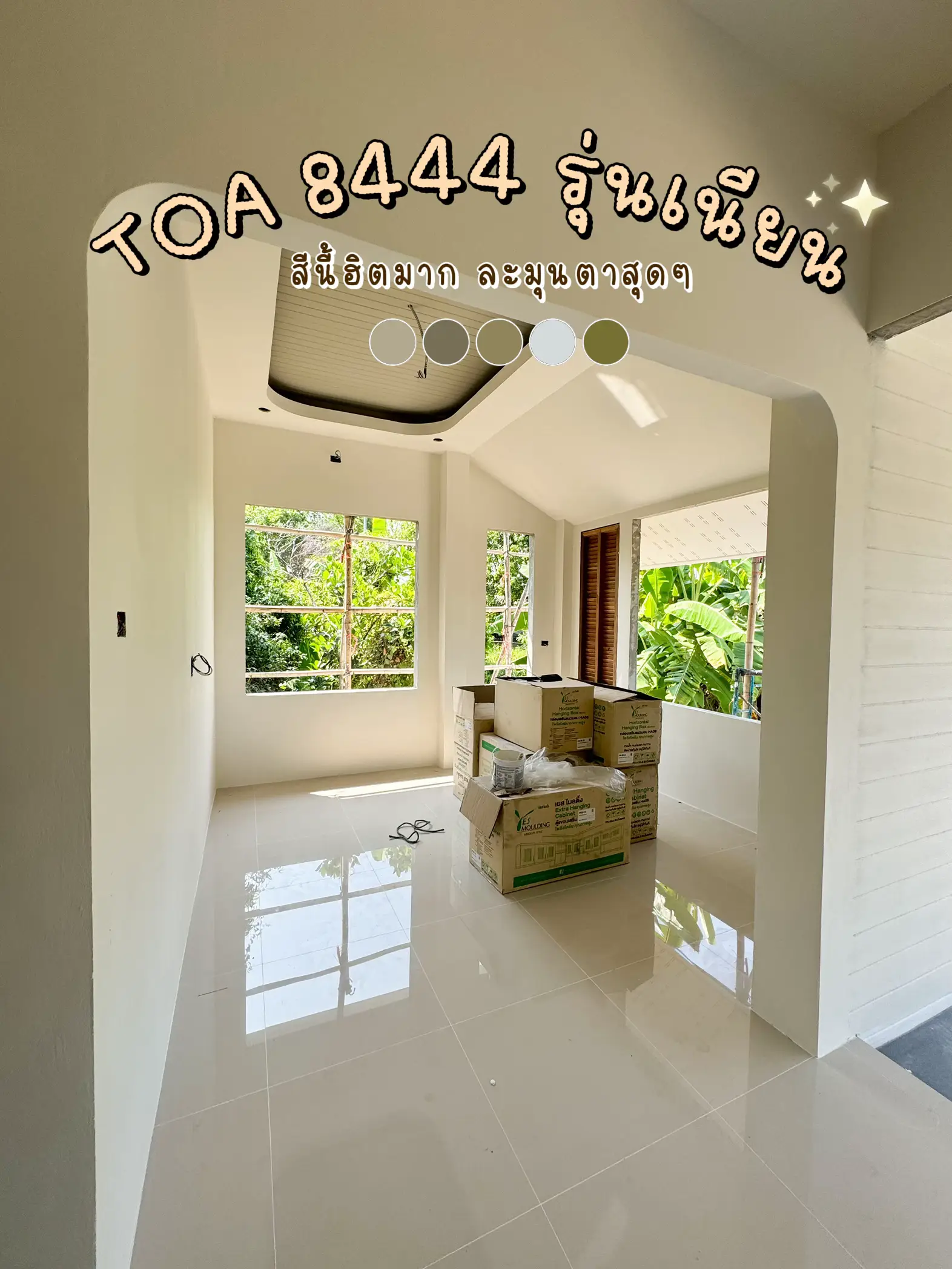 รีวิวสีทาบ้าน Toa8260 - การค้นหาใน Lemon8