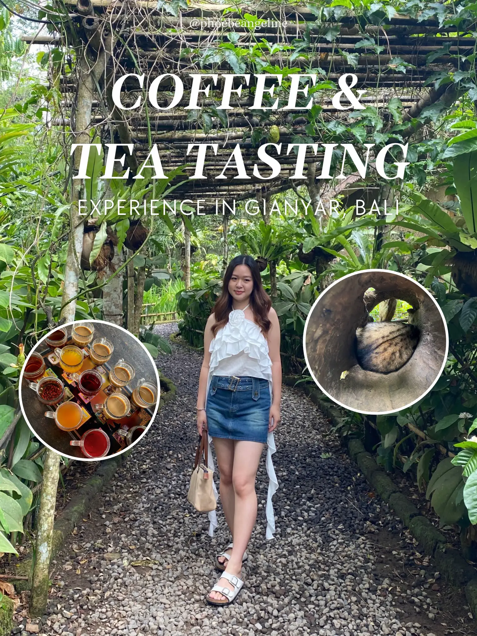 Bali Fun Experience: Coffee & Tea Tasting | แกลเลอรีที่โพสต์โดย Phoebe Angeline | Lemon8