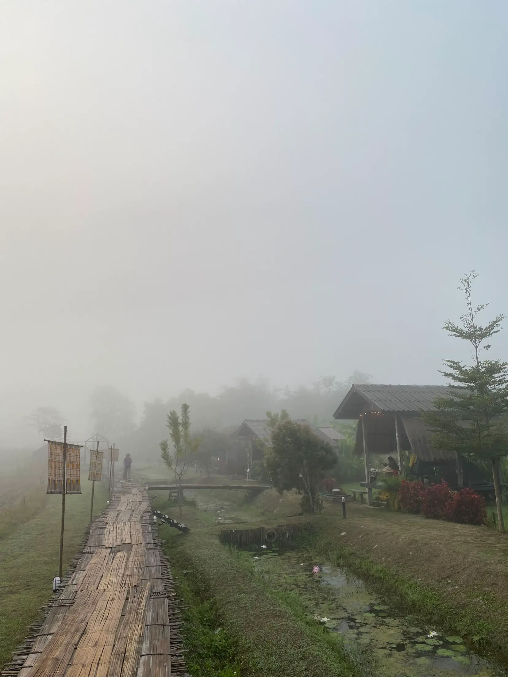 ที่พักเชียงดาว คนละ 450 บาท 🏡⛰️⛺️💫 | แกลเลอรีที่โพสต์โดย ewery.pump | Lemon8