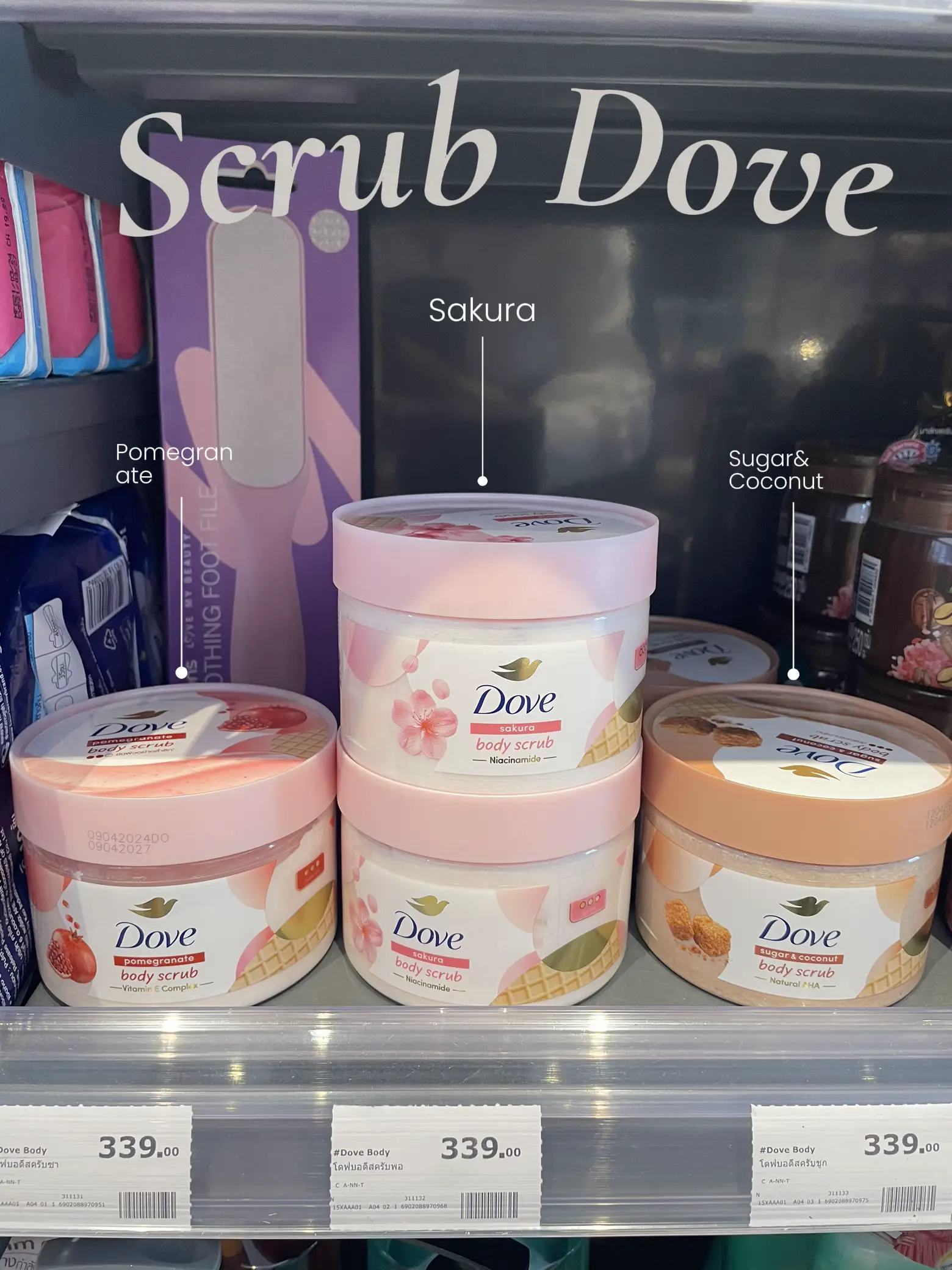 Item must try `Scrub Dove ‘ 🌸🥥🍇 | แกลเลอรีที่โพสต์โดย winniethepooh🧸 ...