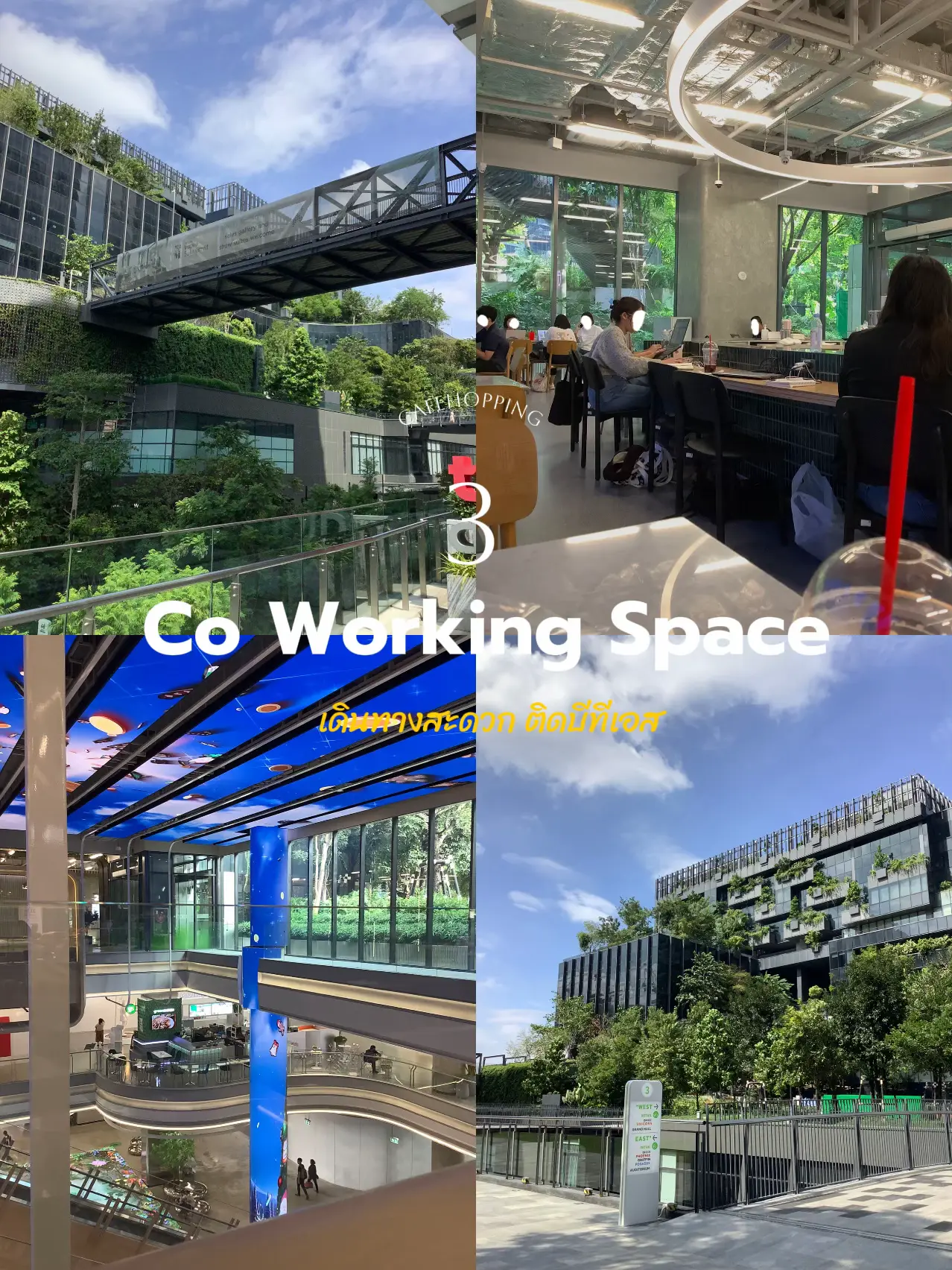 Co Working Space บางแค - การค้นหาใน Lemon8