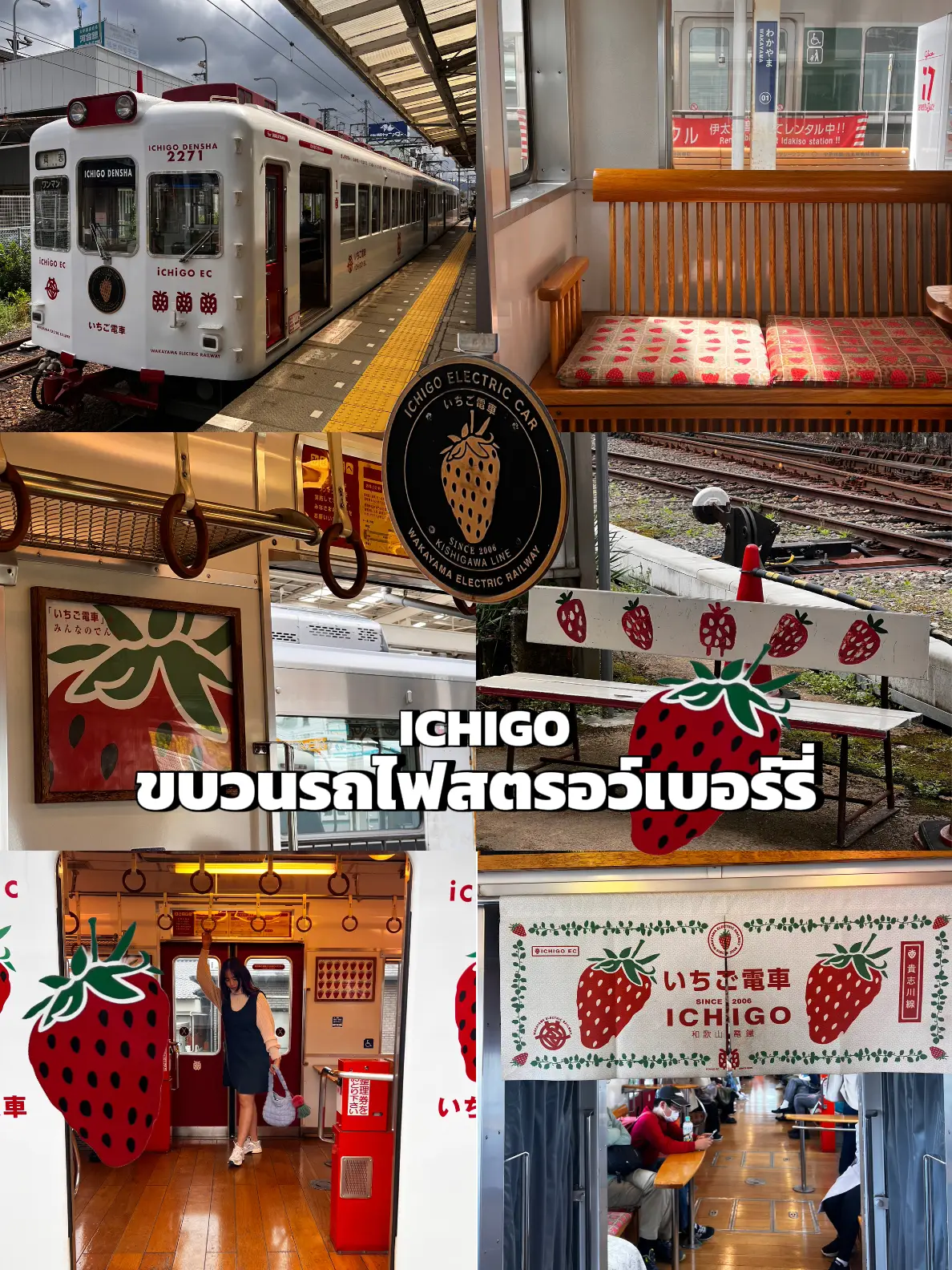นั่งรถไฟแมว 1 วัน เที่ยวเมืองวะกะยะมะ ประเทศญี่ปุ่น🇯🇵😸🍓 แกลเลอรีที่