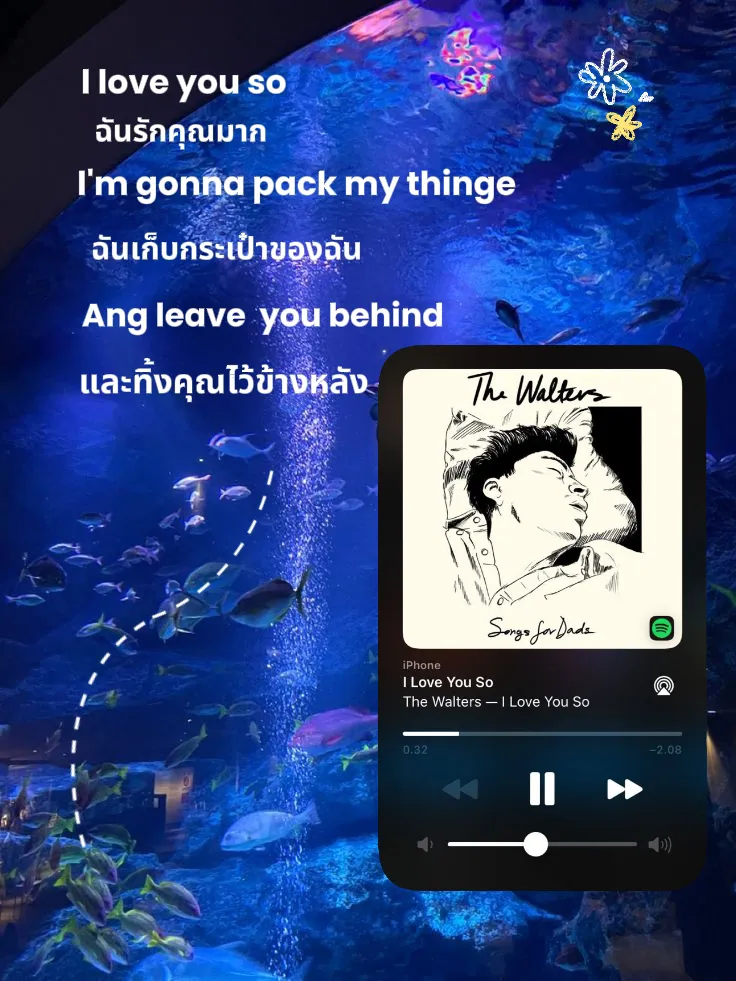 รวมเพลงสากลเพราะๆ🎧 | แกลเลอรีที่โพสต์โดย Cona.pon☆ | Lemon8