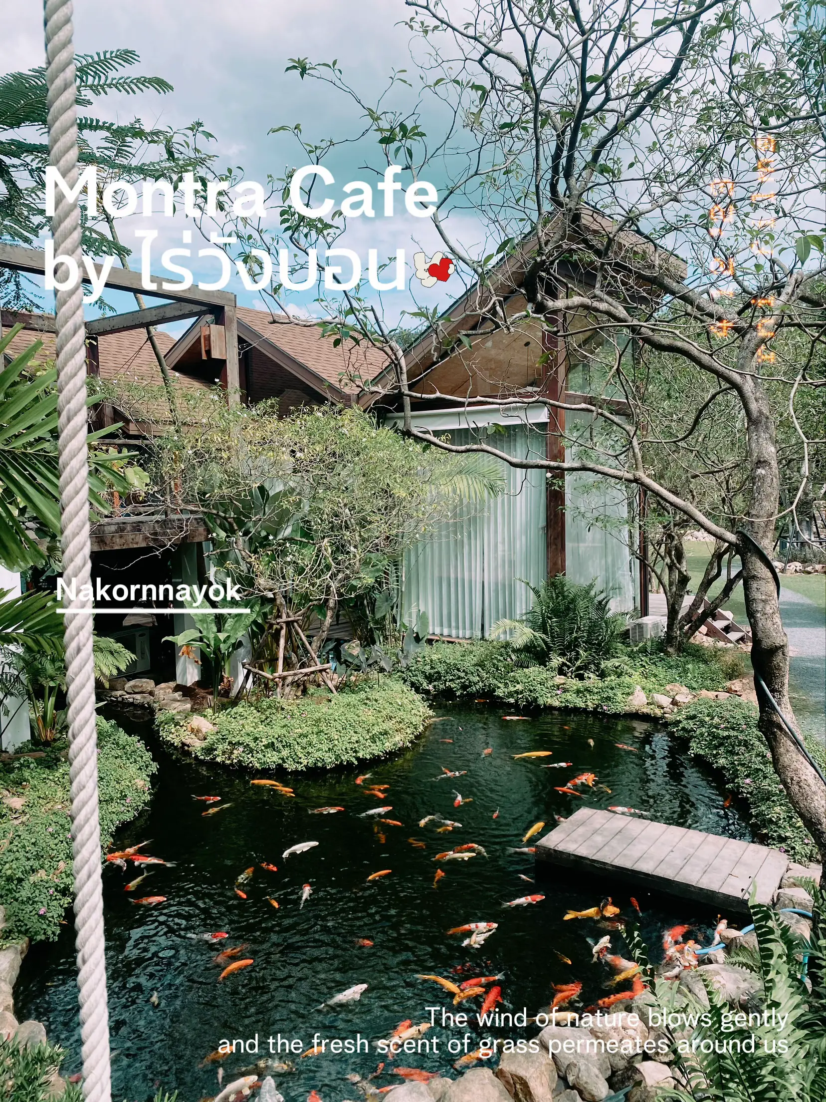 🍃คาเฟ่หมาเข้าได้ ‘Montra Cafe byไร่วังบอน’ | แกลเลอรีที่โพสต์โดย TUKTIK ̈⃝ | Lemon8