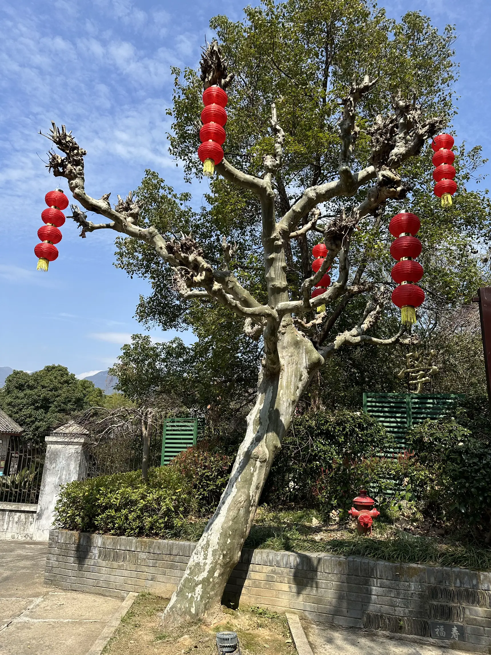 หนิงโป เมืองที่คนไม่ค่อยรู้จัก | แกลเลอรีที่โพสต์โดย Chingching | Lemon8