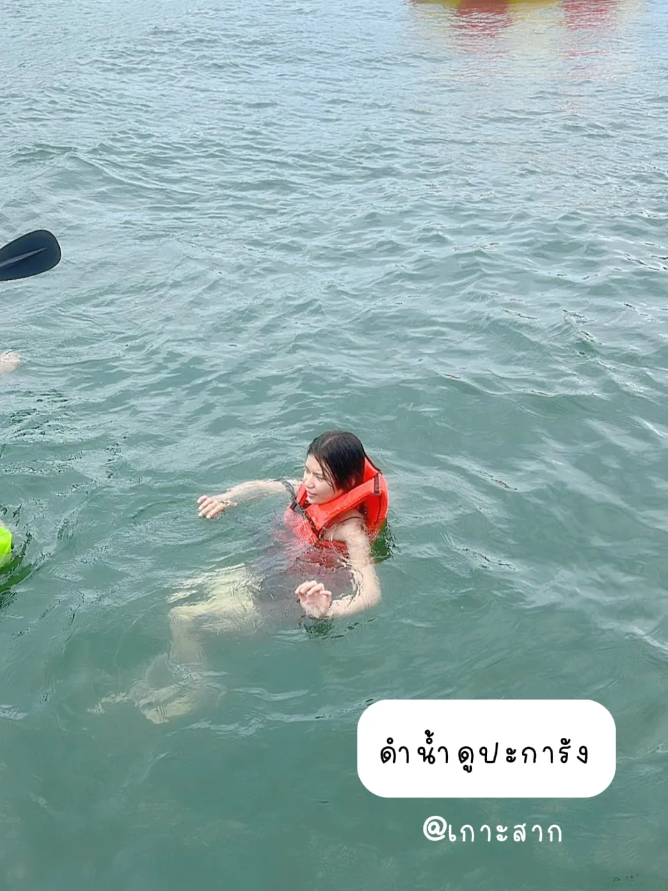 Travel to the island of a million in a budget of 2 tangled!! | Gallery ...