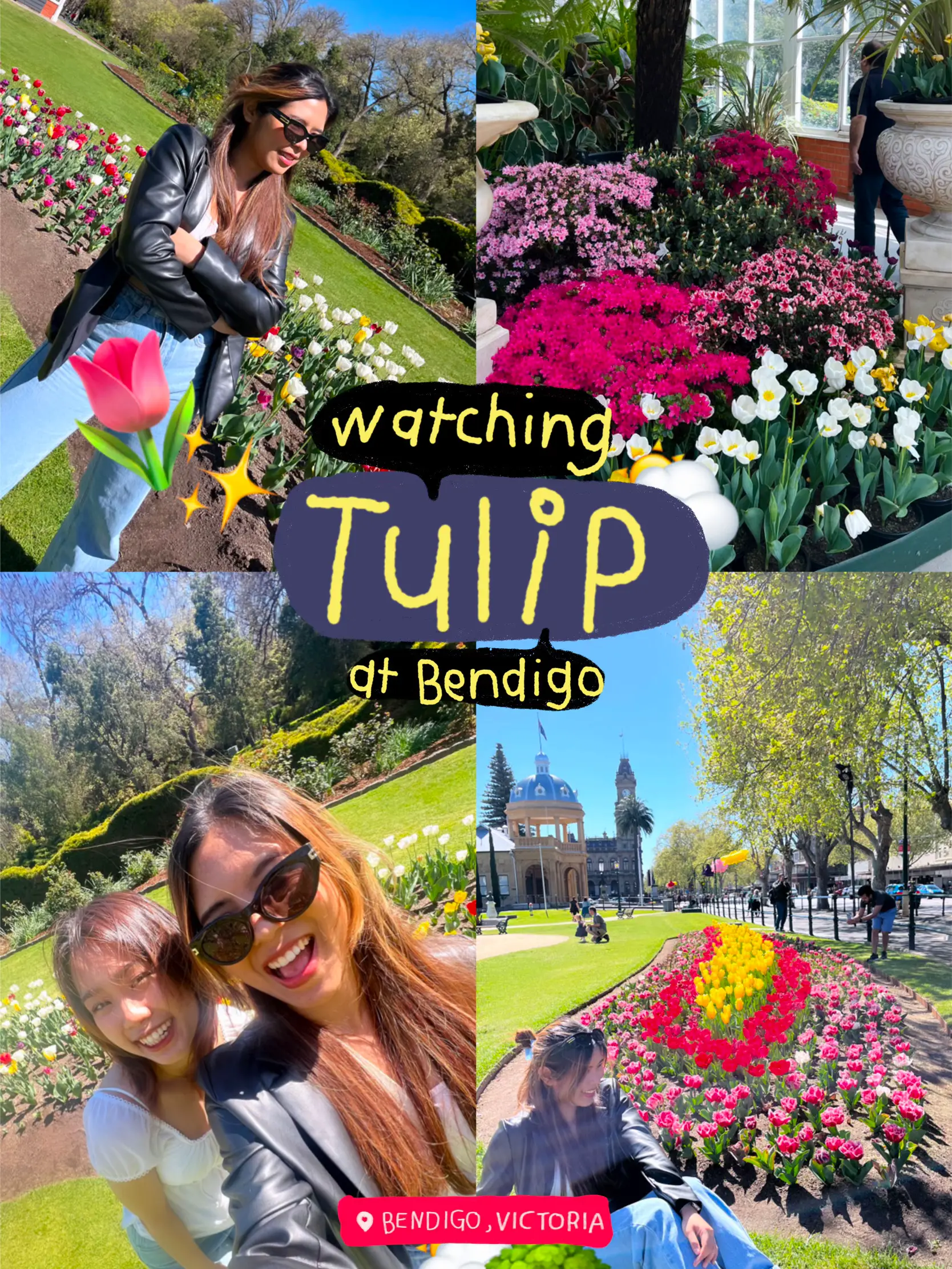 BENDIGO Tulip🌷 をご覧ください。☁️ | Journeyyymeが投稿したフォトブック | Lemon8