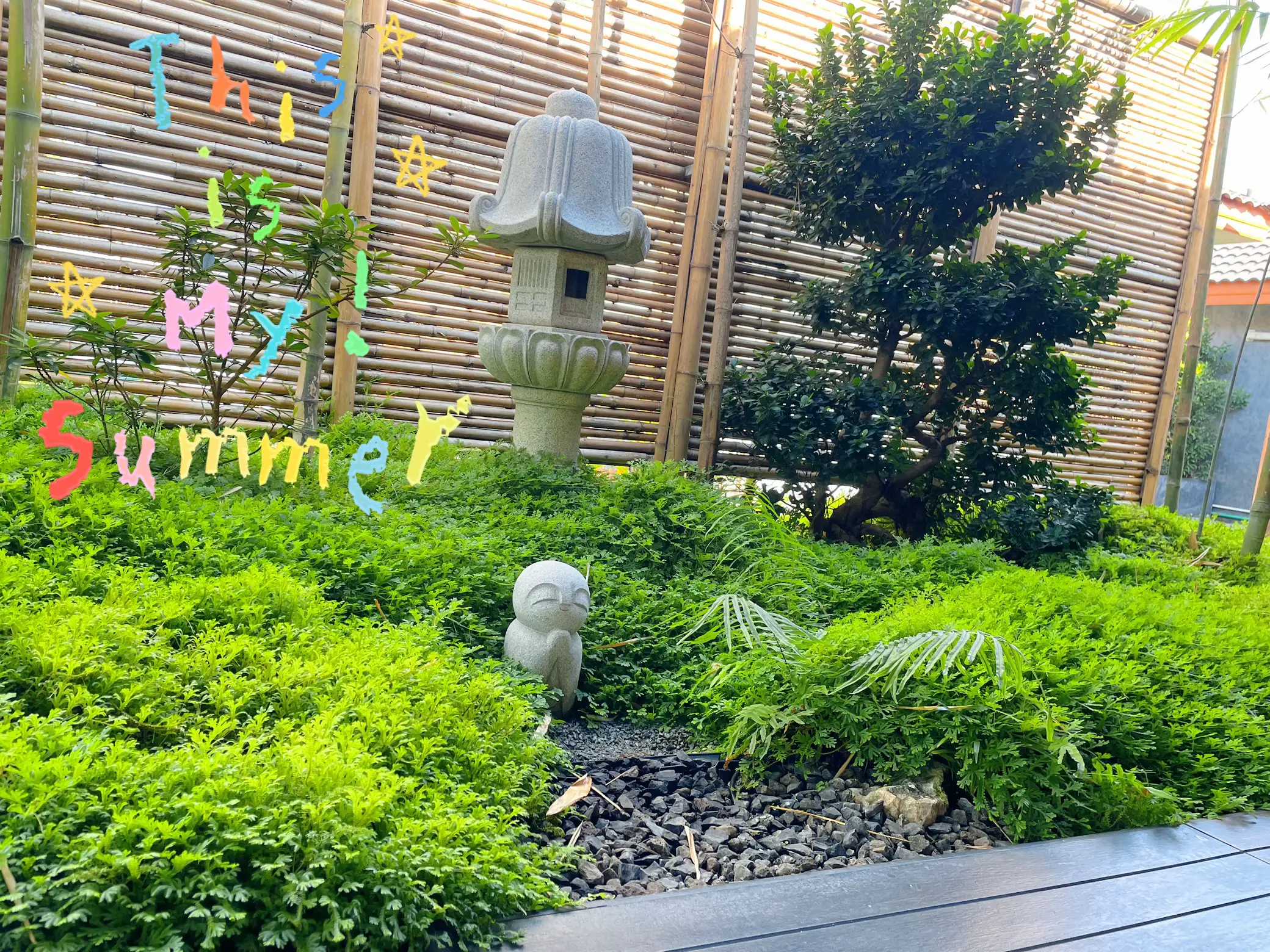 #ฤดูหนาว#ต้นไม้ #ติดเทรนด์ #จัดสวนข้างบ้าน | แกลเลอรีที่โพสต์โดย Su ...