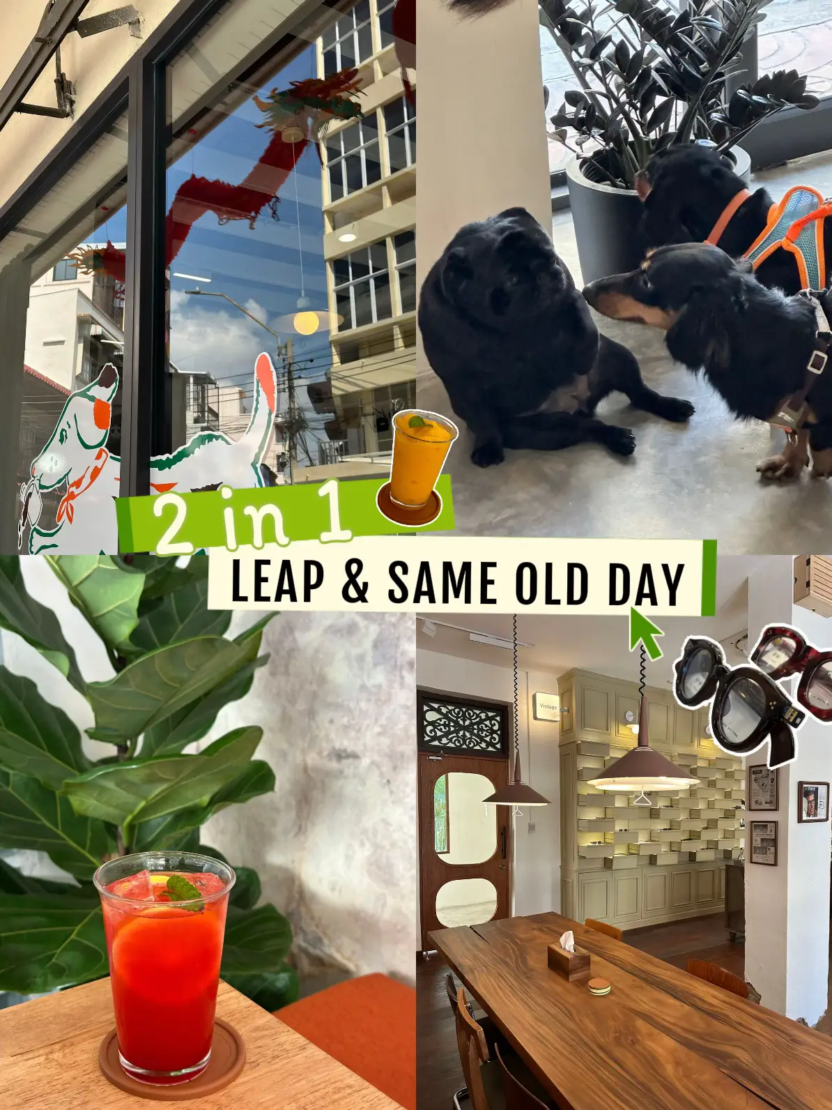 LEAP & SAME OLD DAY 🕶️ คาเฟ่ & ร้านแว่นสุดชิค!! | แกลเลอรีที่โพสต์โดย ...