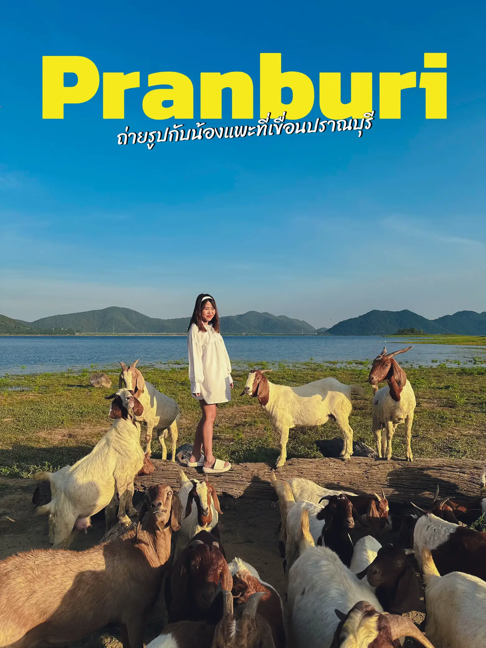 ถ่ายรูปกับน้องแพะที่เขื่อนปราณบุรี | แกลเลอรีที่โพสต์โดย Reerun_WS | Lemon8