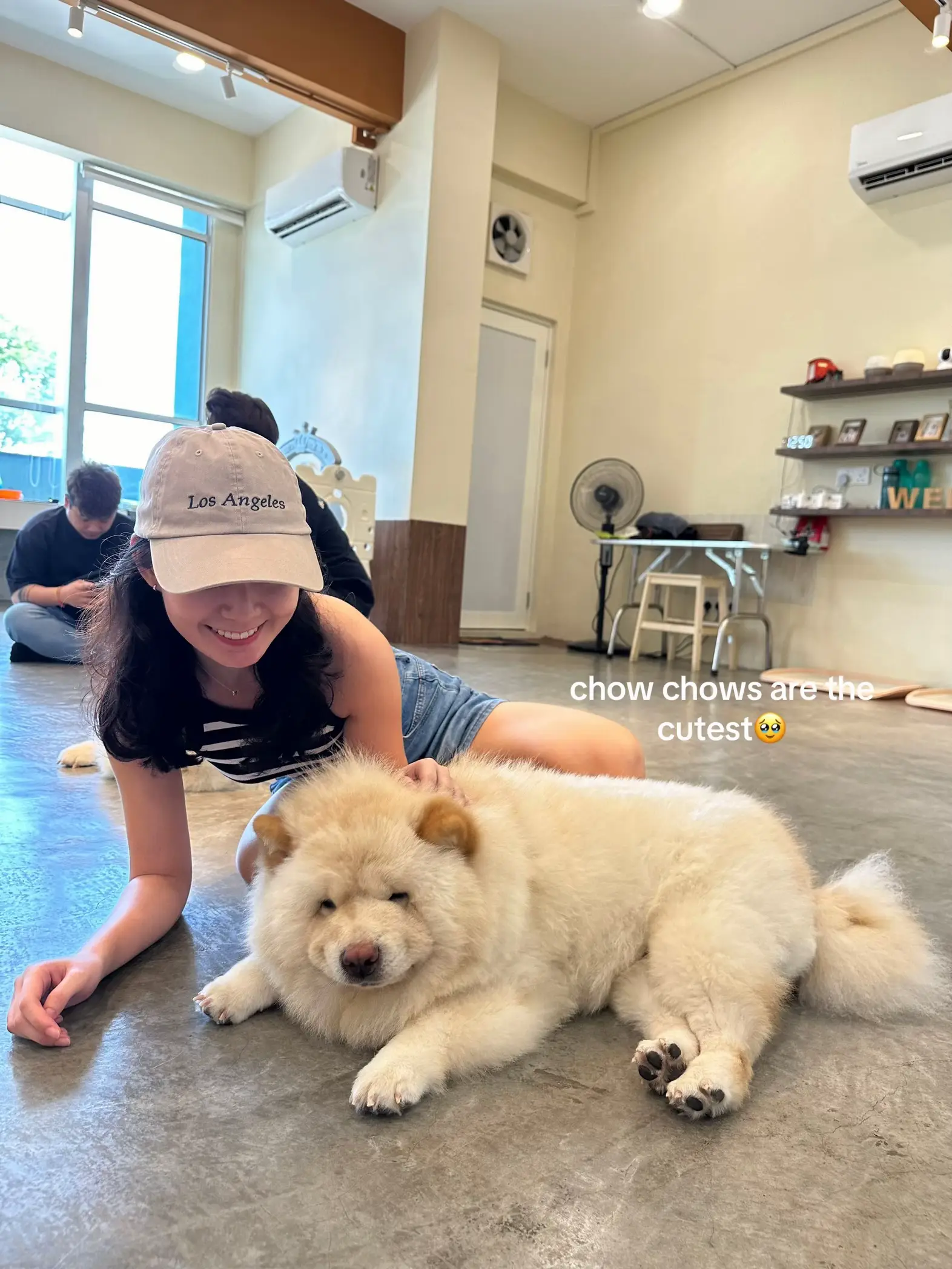 you need to visit this chow chow cafe in jb!! | Gallery posted by min ...