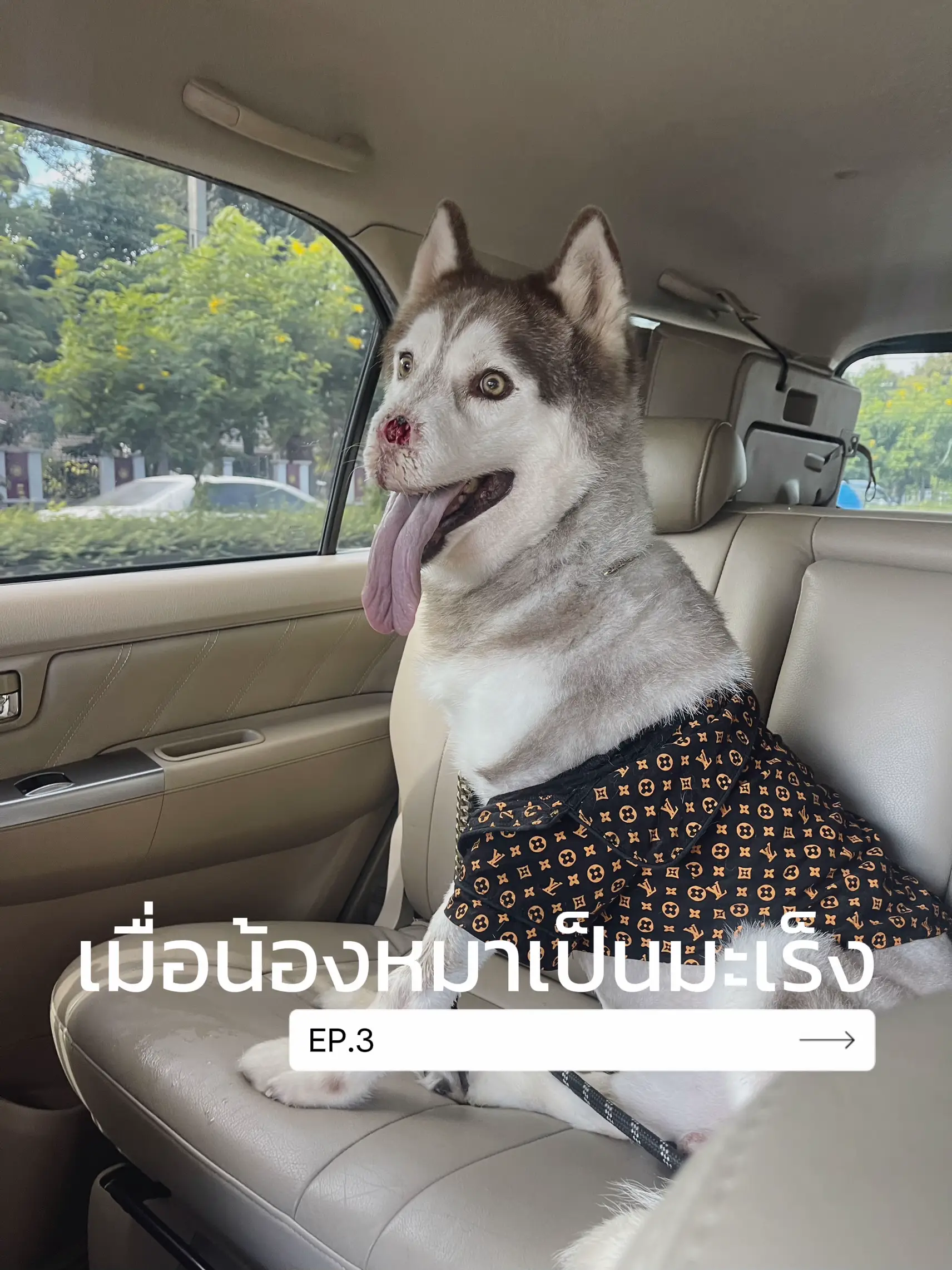 EP.3 | แกลเลอรีที่โพสต์โดย Pueng | Lemon8