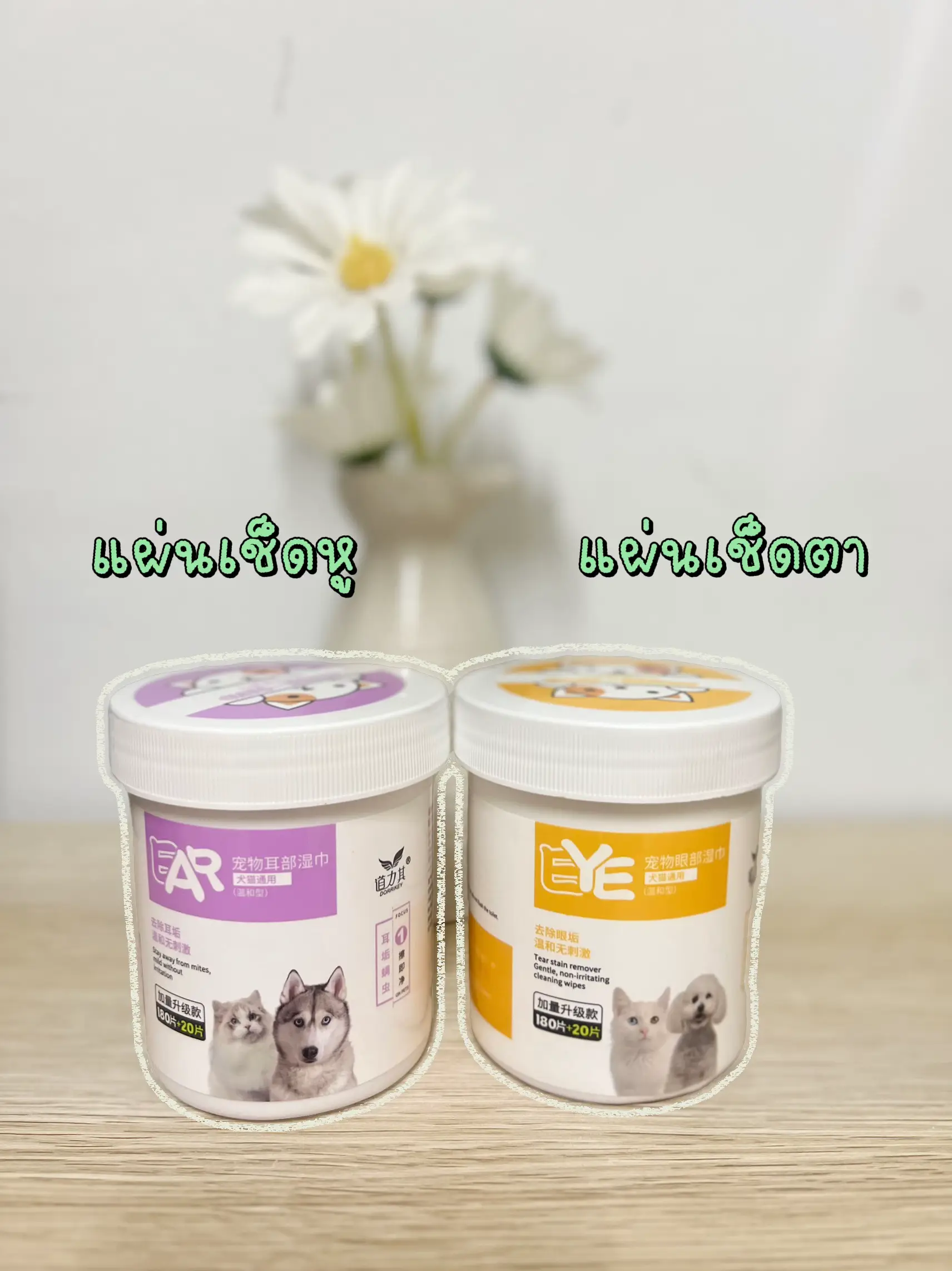 ของใช้น้องแมว ที่ควรมีติดบ้าน | แกลเลอรีที่โพสต์โดย Yves.tt | Lemon8