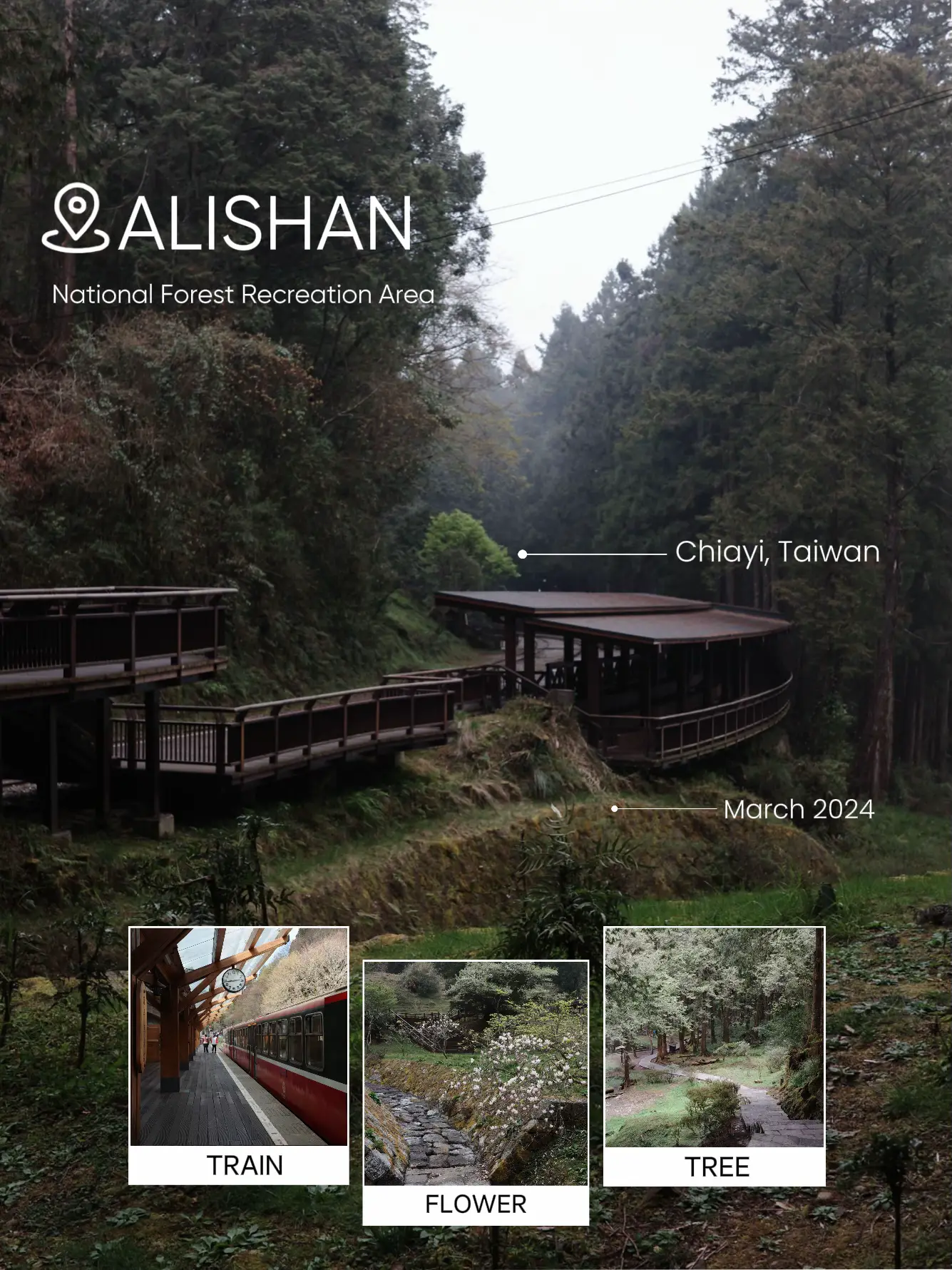 Alishan 2024 (2 Days 1 Night) | แกลเลอรีที่โพสต์โดย JP🐝 | Lemon8