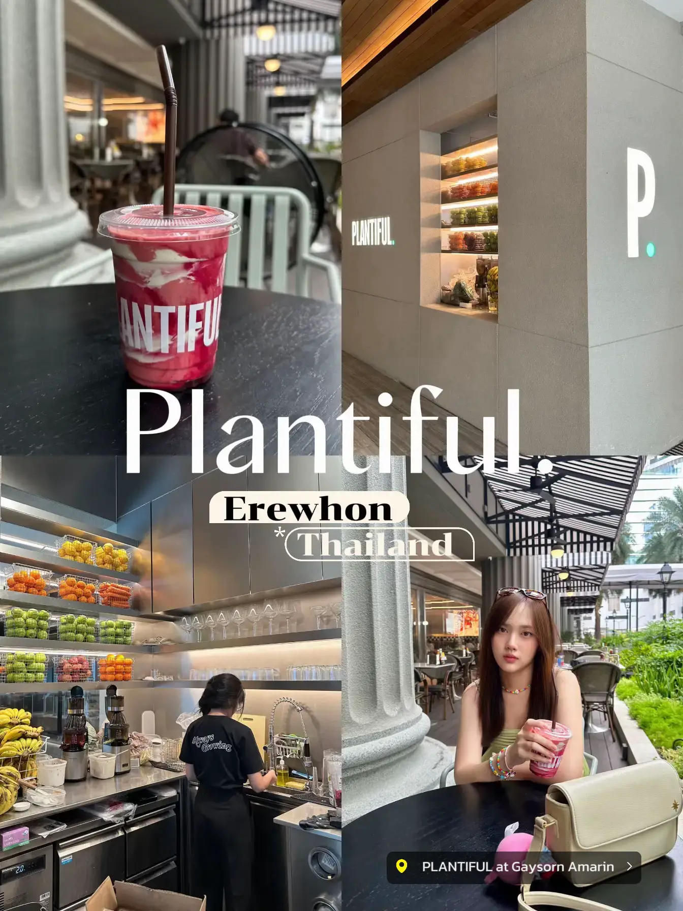 Plantiful Café | สายคอนเทนท์ห้ามพลาด | แกลเลอรีที่โพสต์โดย babypair🍒 | Lemon8