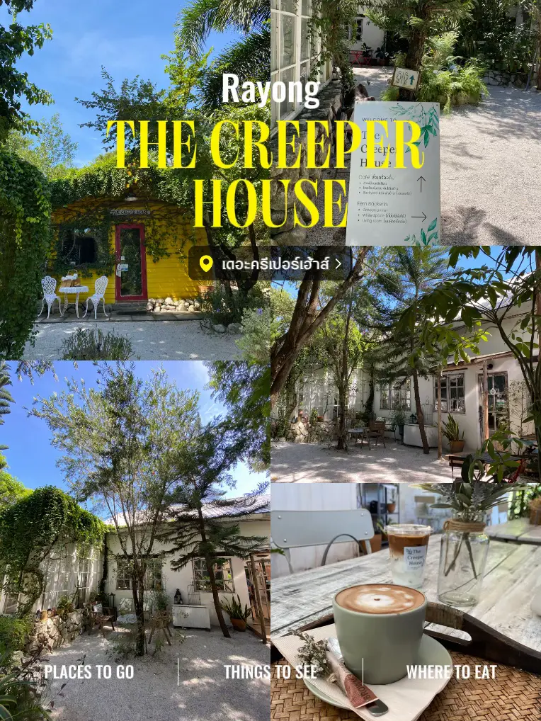 📍THE CREEPER HOUSE คาเฟ่ระยอง | แกลเลอรีที่โพสต์โดย TANGO | Lemon8