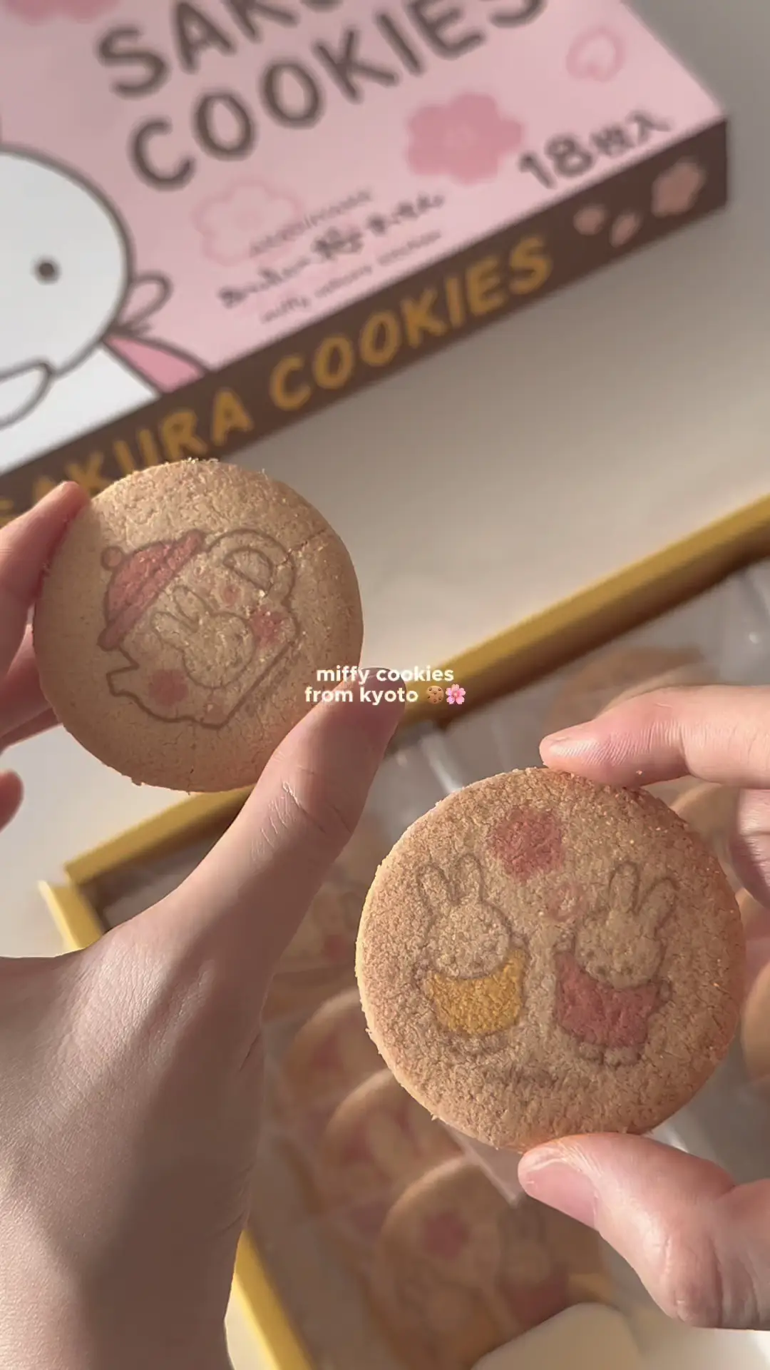 the cutest miffy cookies from kyoto 🍪🌸 | Video published by beardybear ...