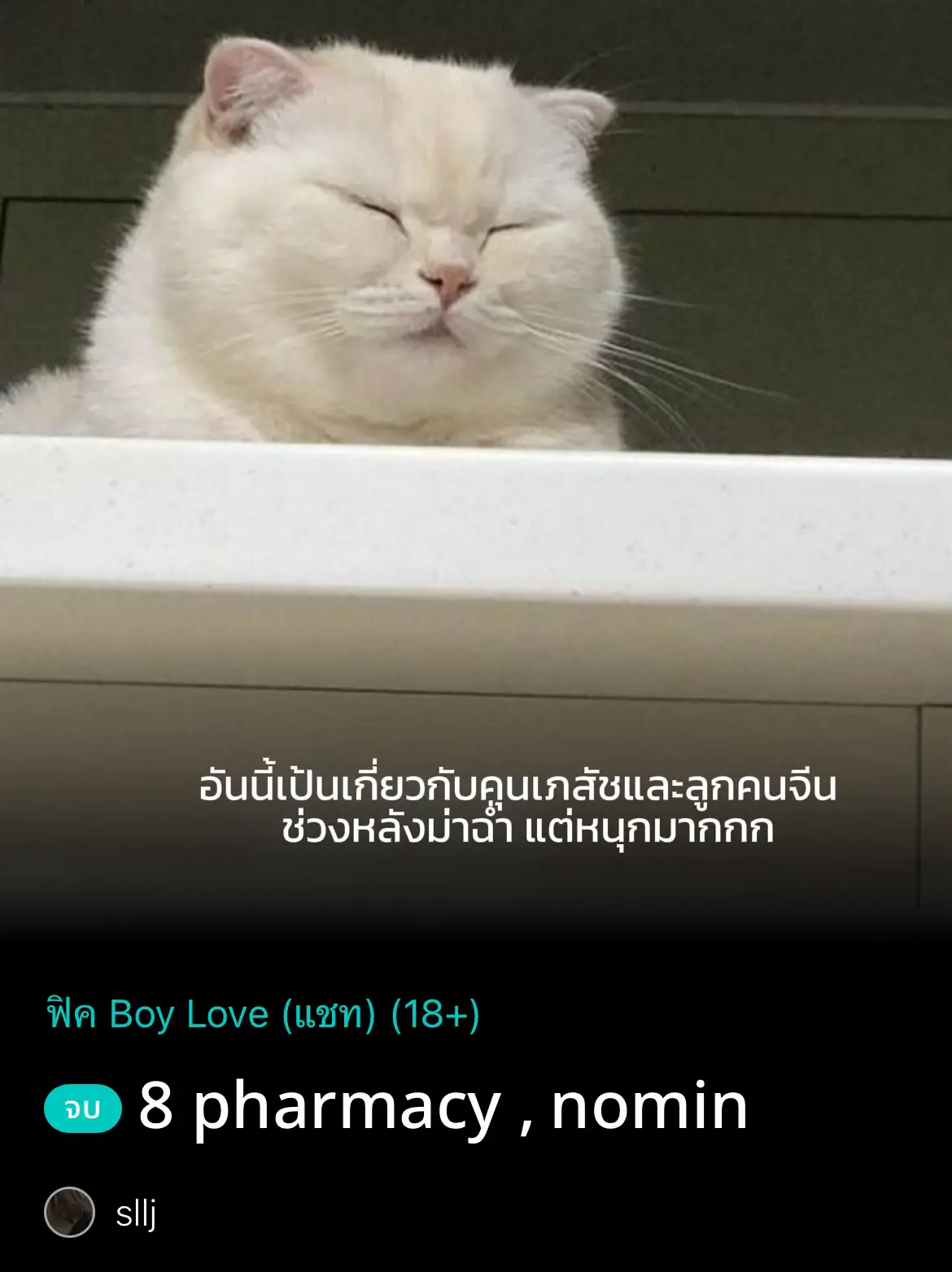 ”ฟิค nomin ที่ไม่ควรพลาด เกิดมาต้องได้อ่านซักรอบ“ | แกลเลอรีที่โพสต์โดย ...