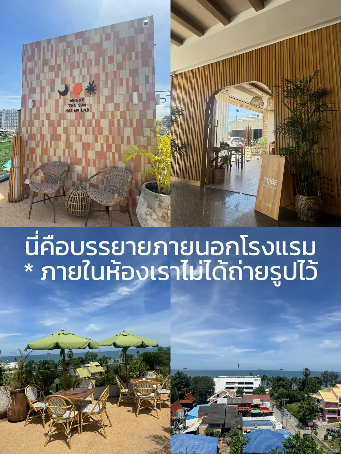 รีวิว “ปิงปองโชว์” 🏓 @ พัทยา ประทับใจมาก !! 20++ | แกลเลอรีที่โพสต์โดย bxttersmuff | Lemon8