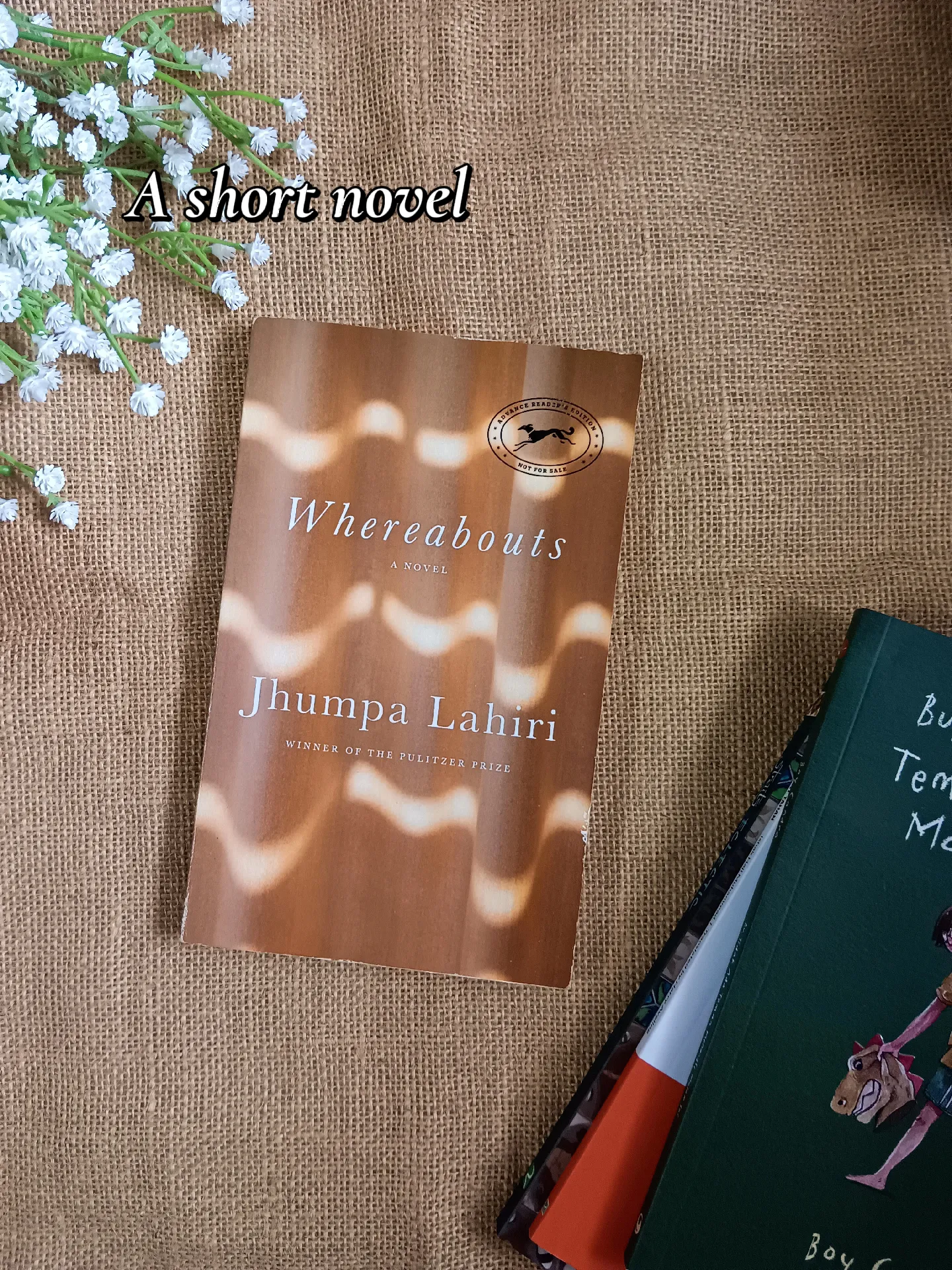 Short books you can read before the year ends | Galeri disiarkan oleh ...
