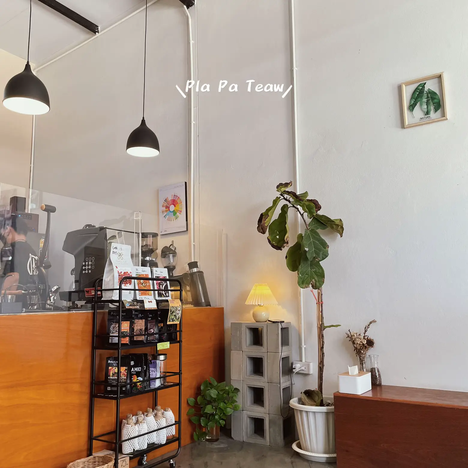 Kaflair | แกลเลอรีที่โพสต์โดย Pla Pa Teaw | Lemon8