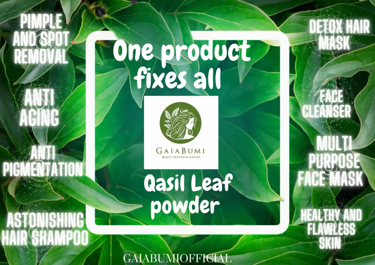 Qasil leaf powder from Gaiabumiofficial | วิดีโอที่เผยแพร่โดย ...