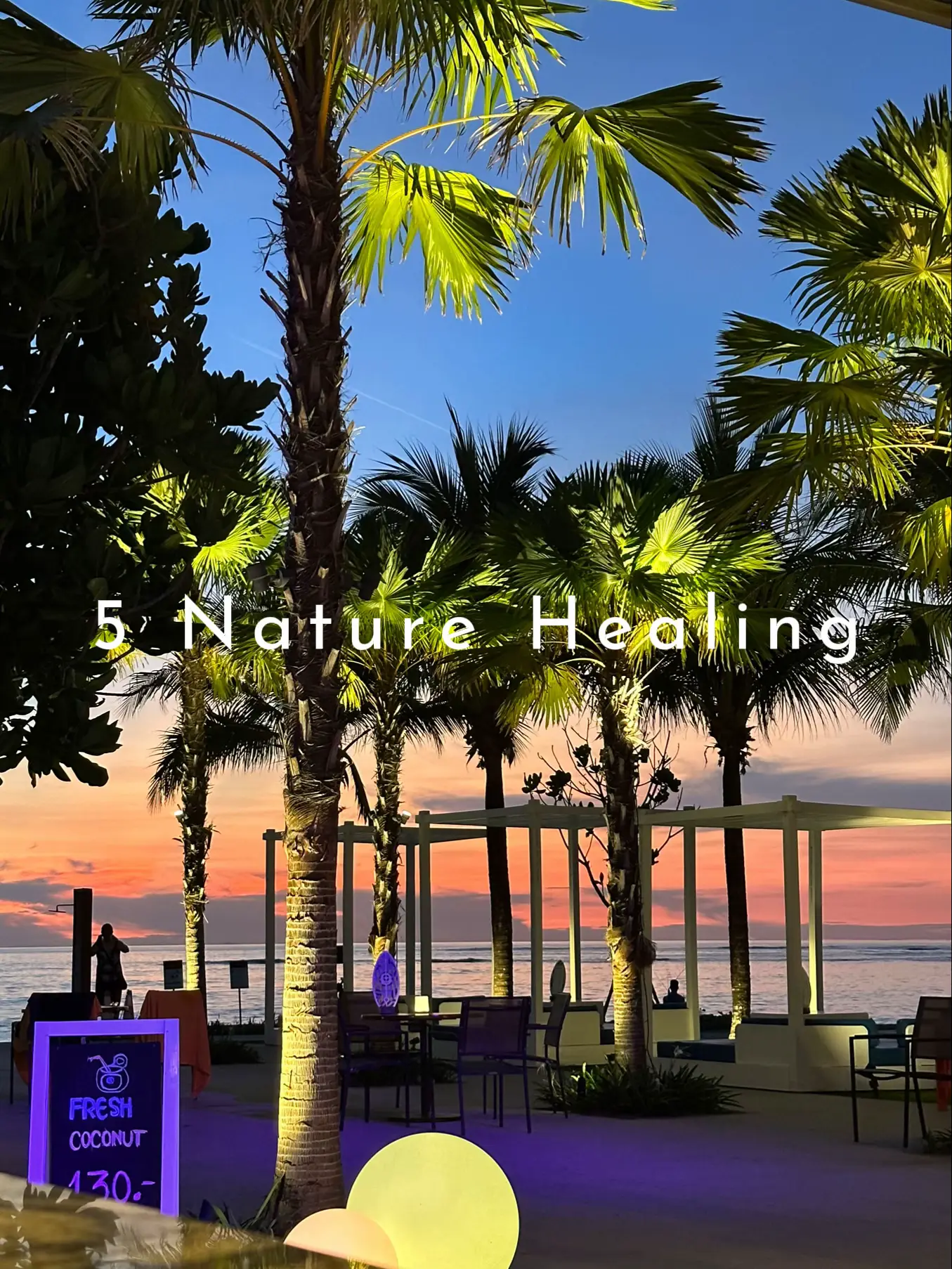 How can nature aid in healing? | 2025 ประสบการณ์ผู้ใช้จริงบน Lemon8