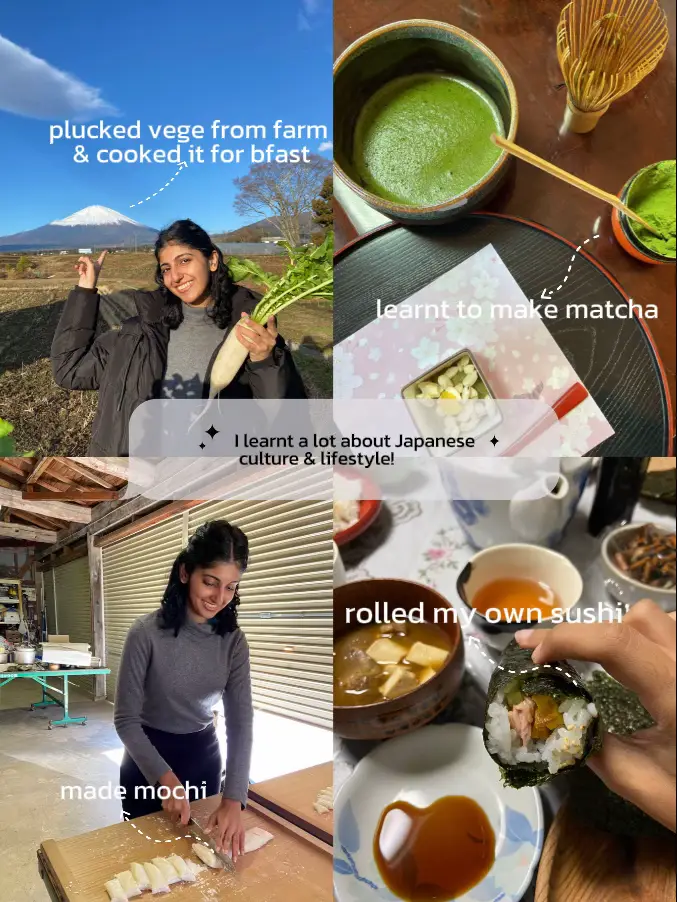 My first time living with host family in Japan 🇯🇵 | แกลเลอรีที่โพสต์โดย ...