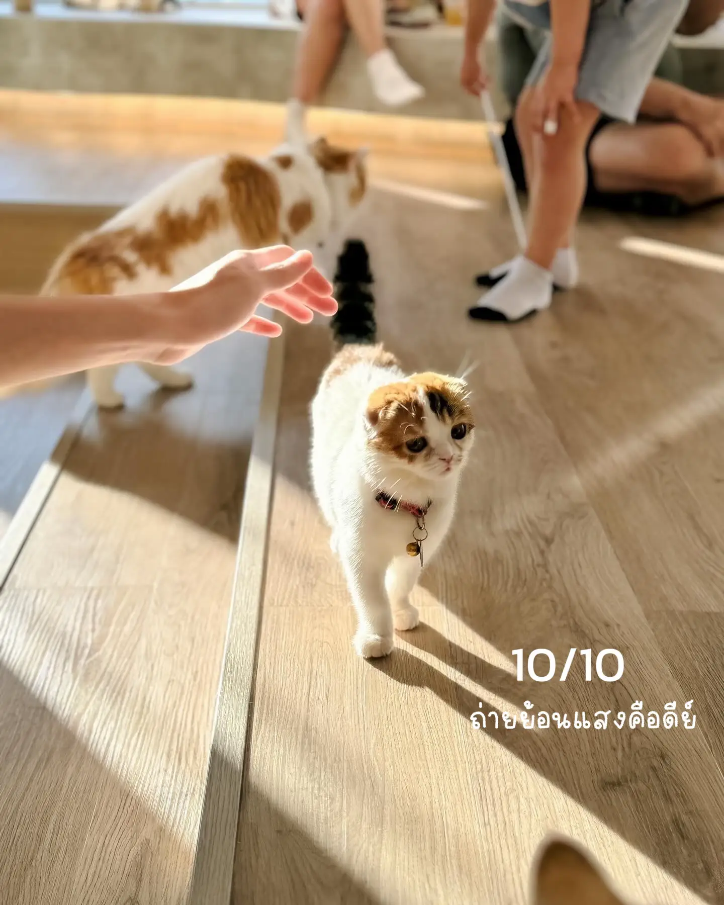 Review ภาพจาก iPhone 15 promex 🫶 | แกลเลอรีที่โพสต์โดย Froysky | Lemon8