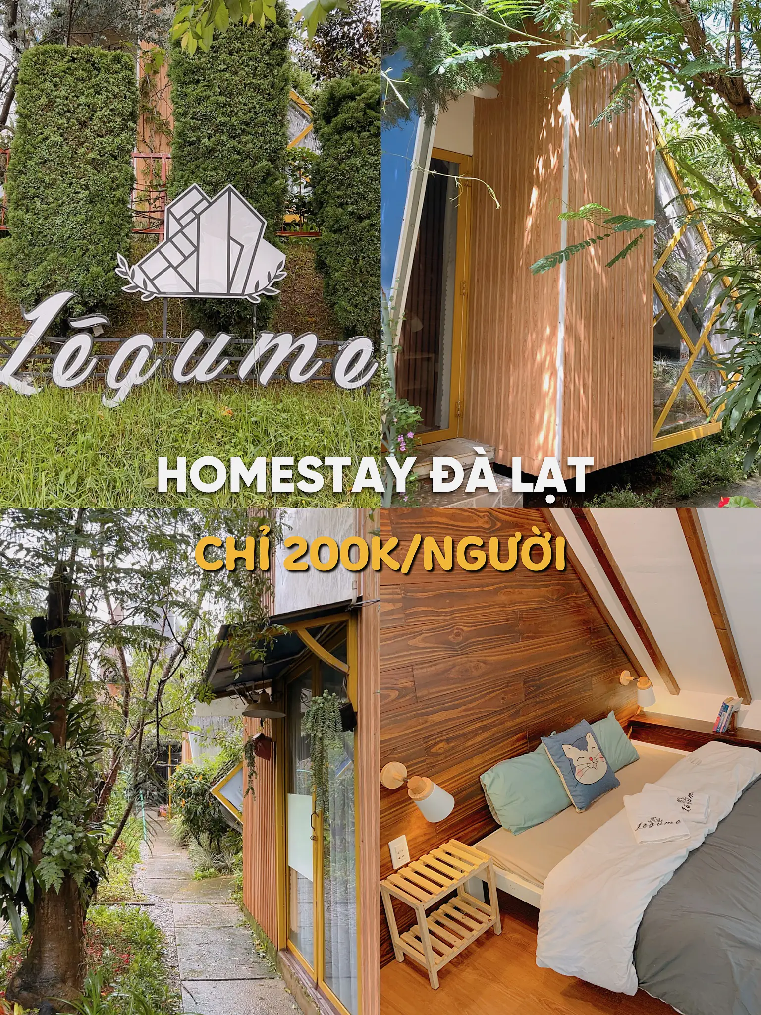 HOMESTAY ĐÀ LẠT CHỈ 200K/NGƯỜI | Bộ sưu tập do Võ Hữu Tài đăng | Lemon8