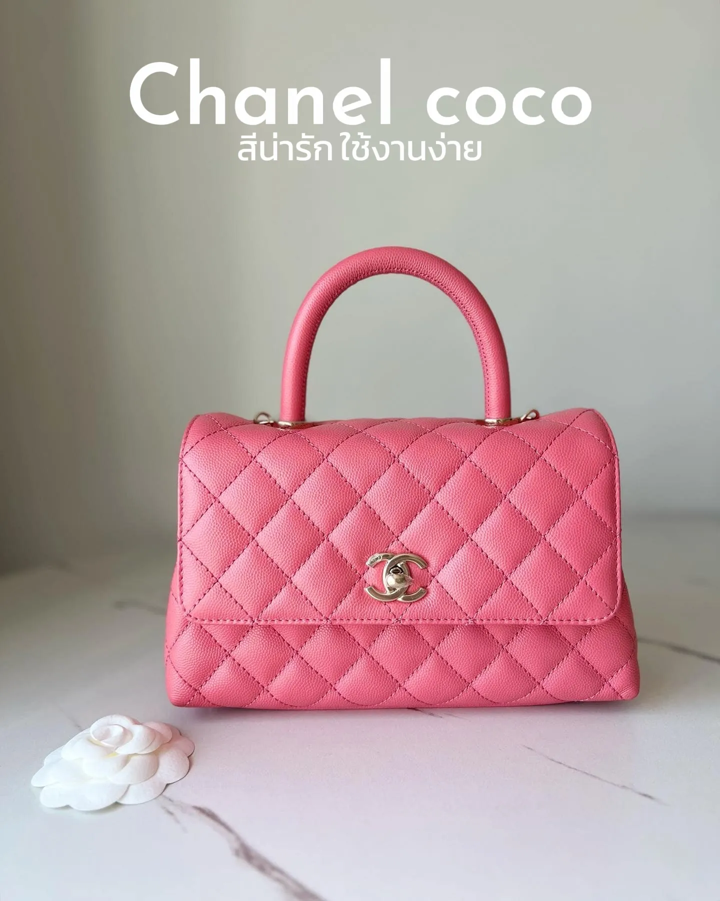 Chanel coco | แกลเลอรีที่โพสต์โดย yours_bn456 | Lemon8