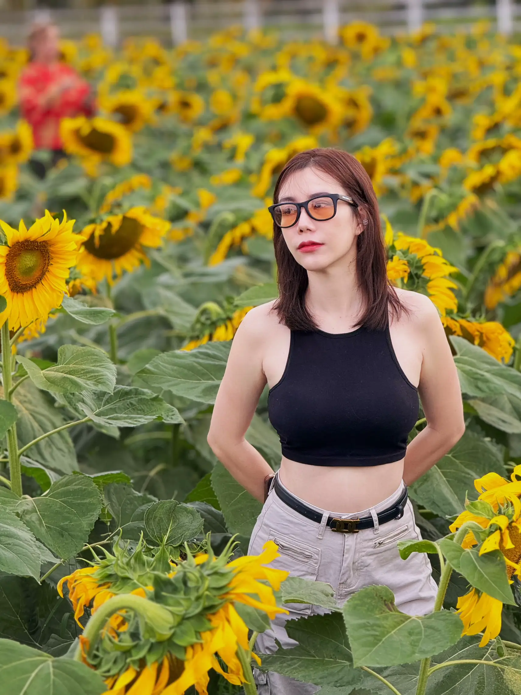 🌻แชร์ทริคถ่ายกับทุ่งทานตะวันสุดฮิต🌻 | แกลเลอรีที่โพสต์โดย Chali.26 | Lemon8