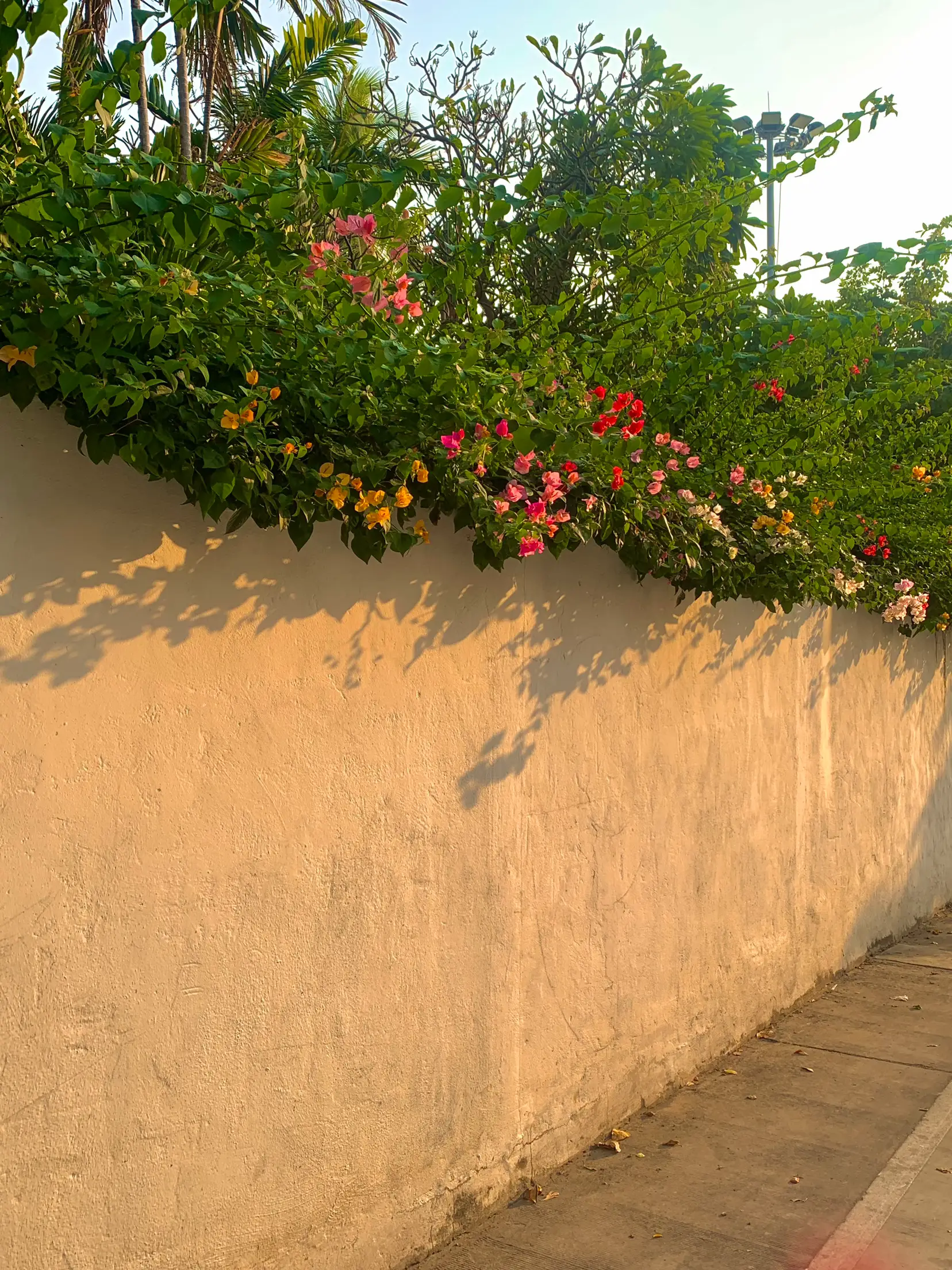 แต่งรูปด้วย iPhone | แกลเลอรีที่โพสต์โดย Siapoxy | Lemon8