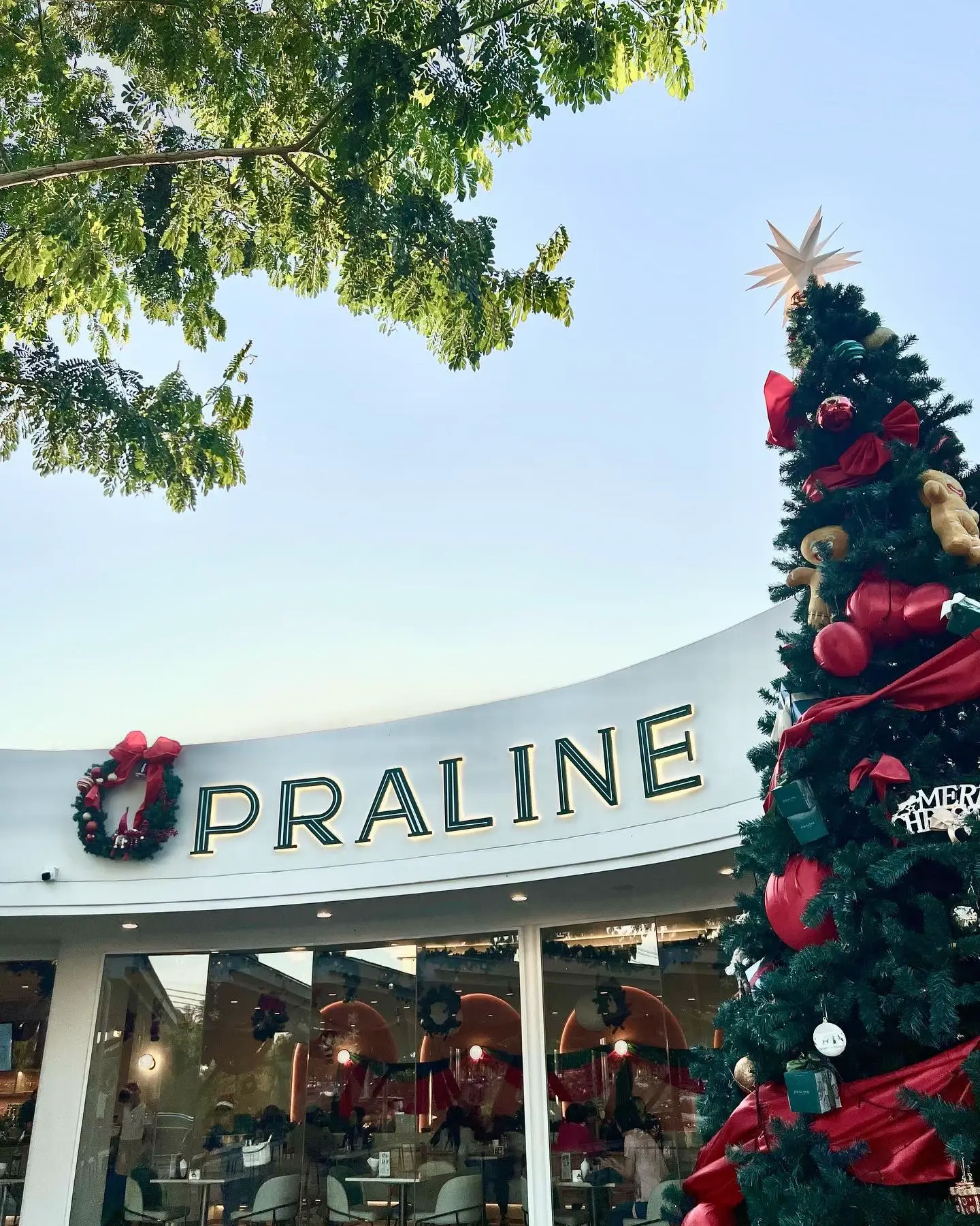 คาเฟ่ธีมคริสต์มาส ย่านราชพฤกษ์ Praline Dining room🎄 | แกลเลอรีที่โพสต์โดย Ppjungpp | Lemon8