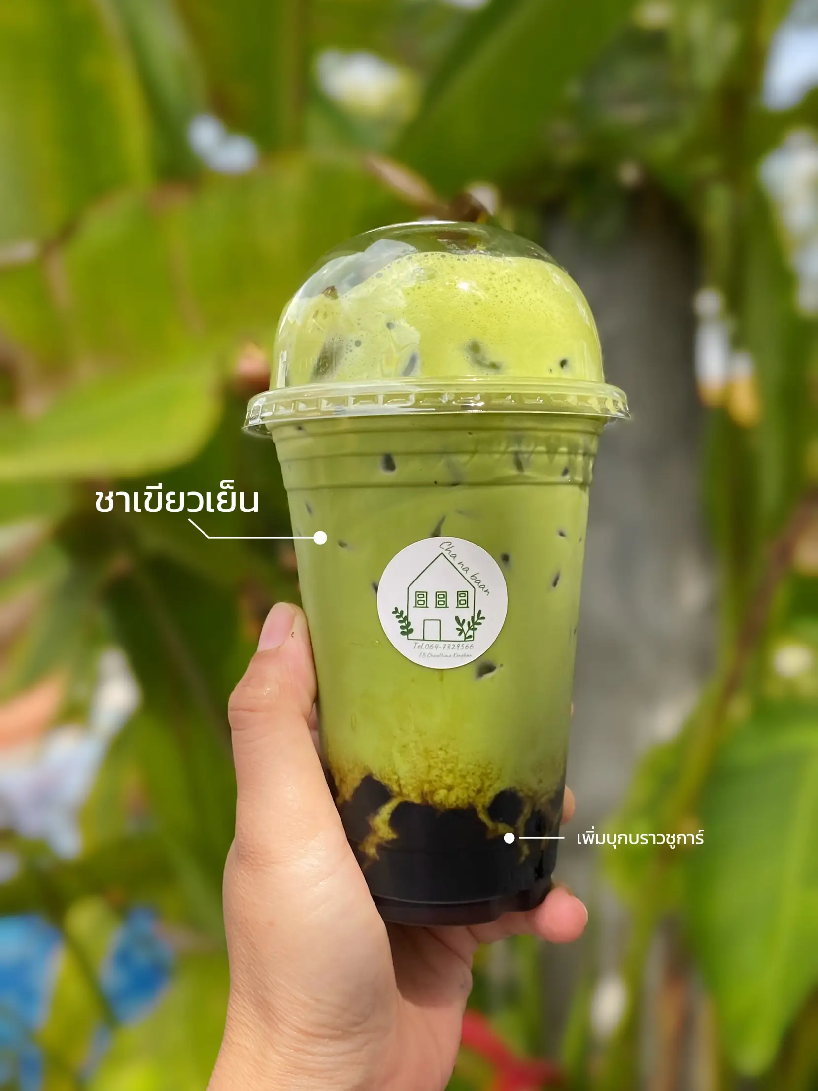 ชาเขียวมะพร้าวนมสดปั่น | แกลเลอรีที่โพสต์โดย Chanthima Kongb | Lemon8