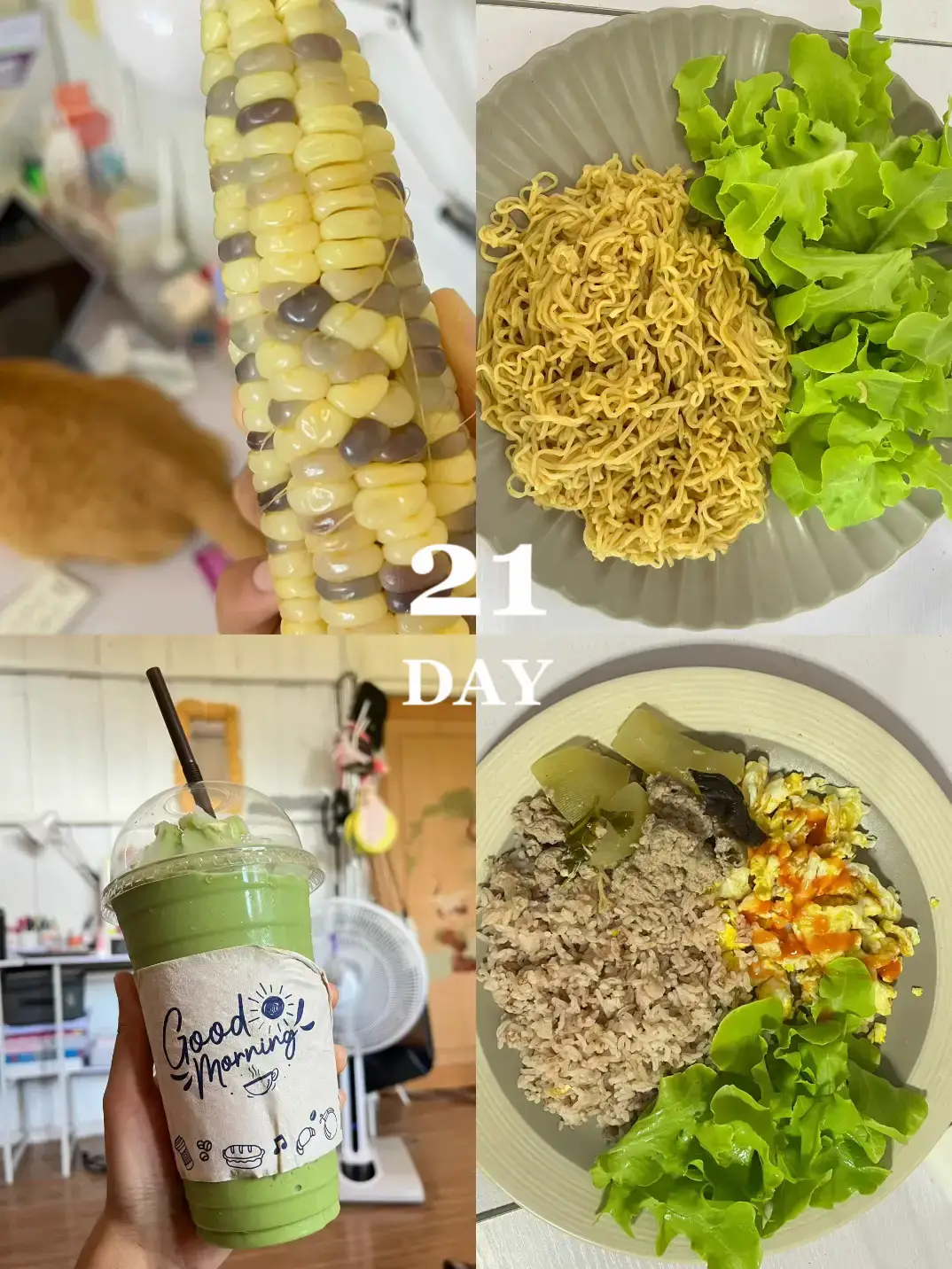 Day21 | แกลเลอรีที่โพสต์โดย ThanYaMon 🌱 | Lemon8